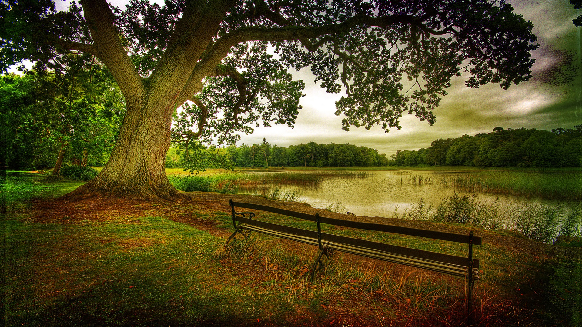 River side bench