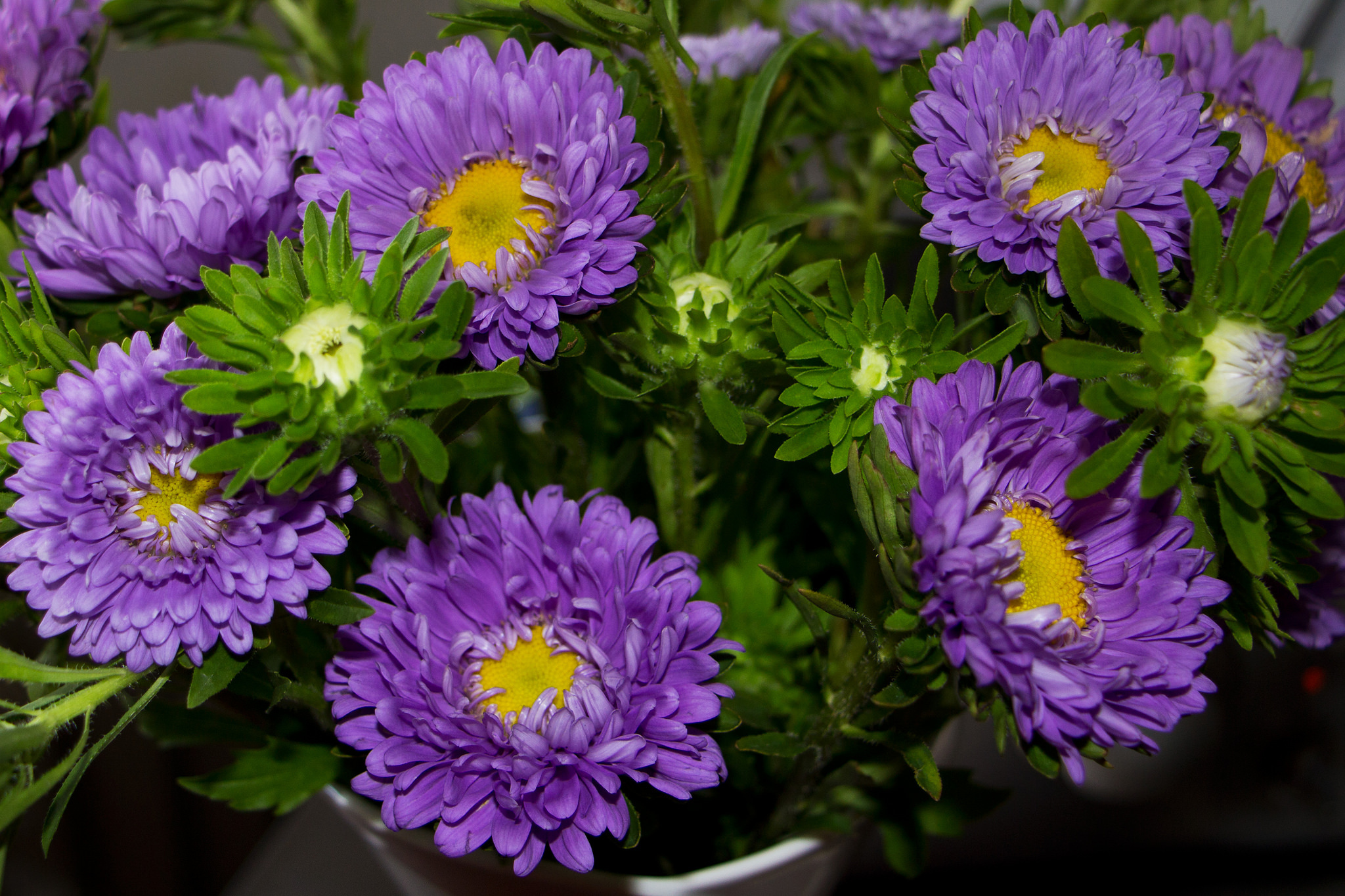 Flower Wallpaper Hd High