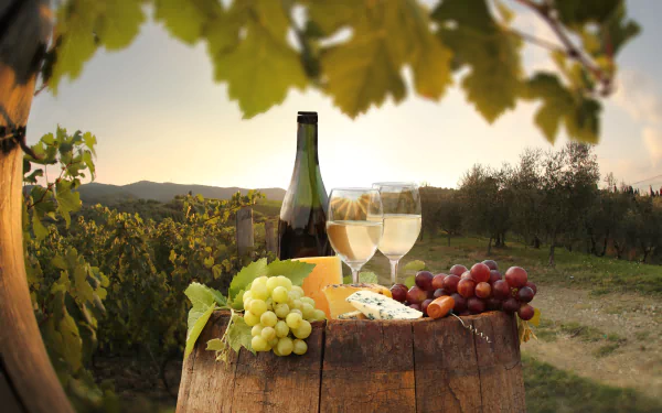 [160+] Wine 4k Wallpapers