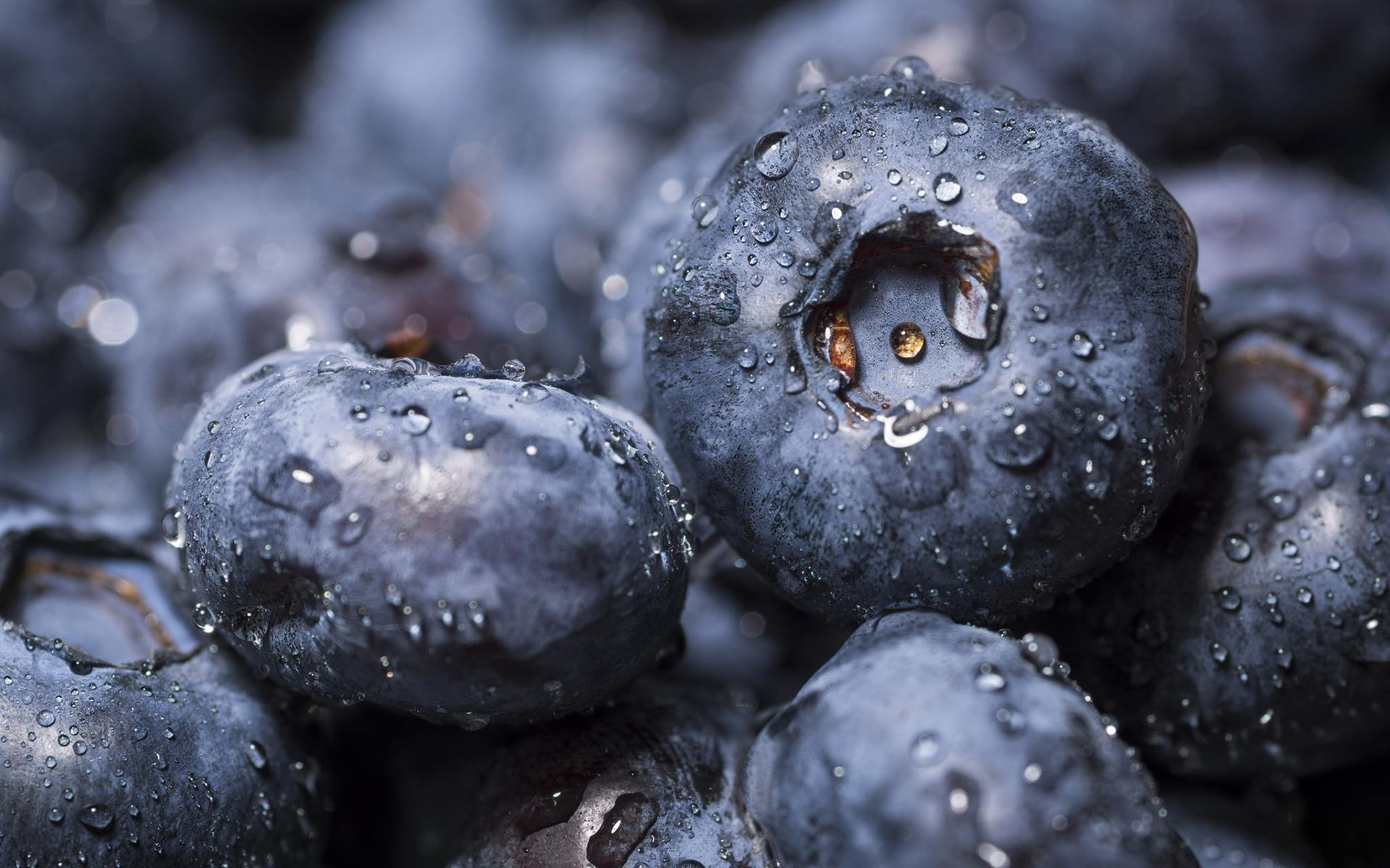 Download Food Blueberry HD Wallpaper