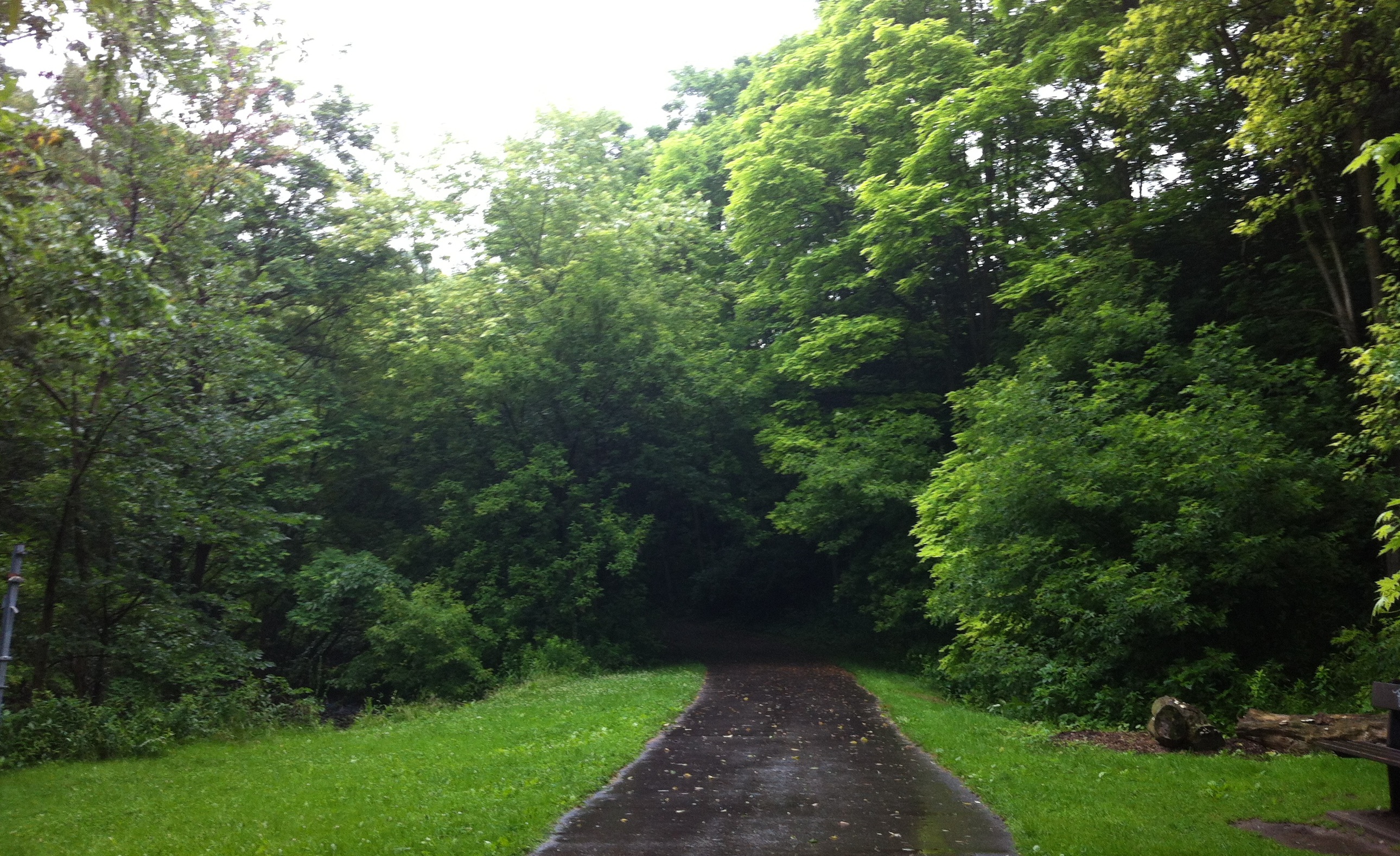 Download Man Made Path HD Wallpaper