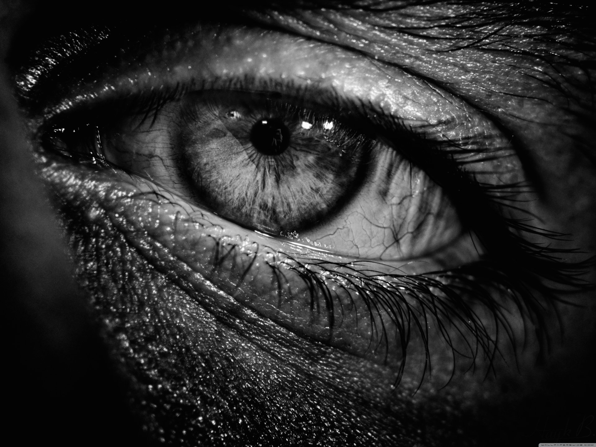 Download Woman Eye 4k Ultra HD Wallpaper