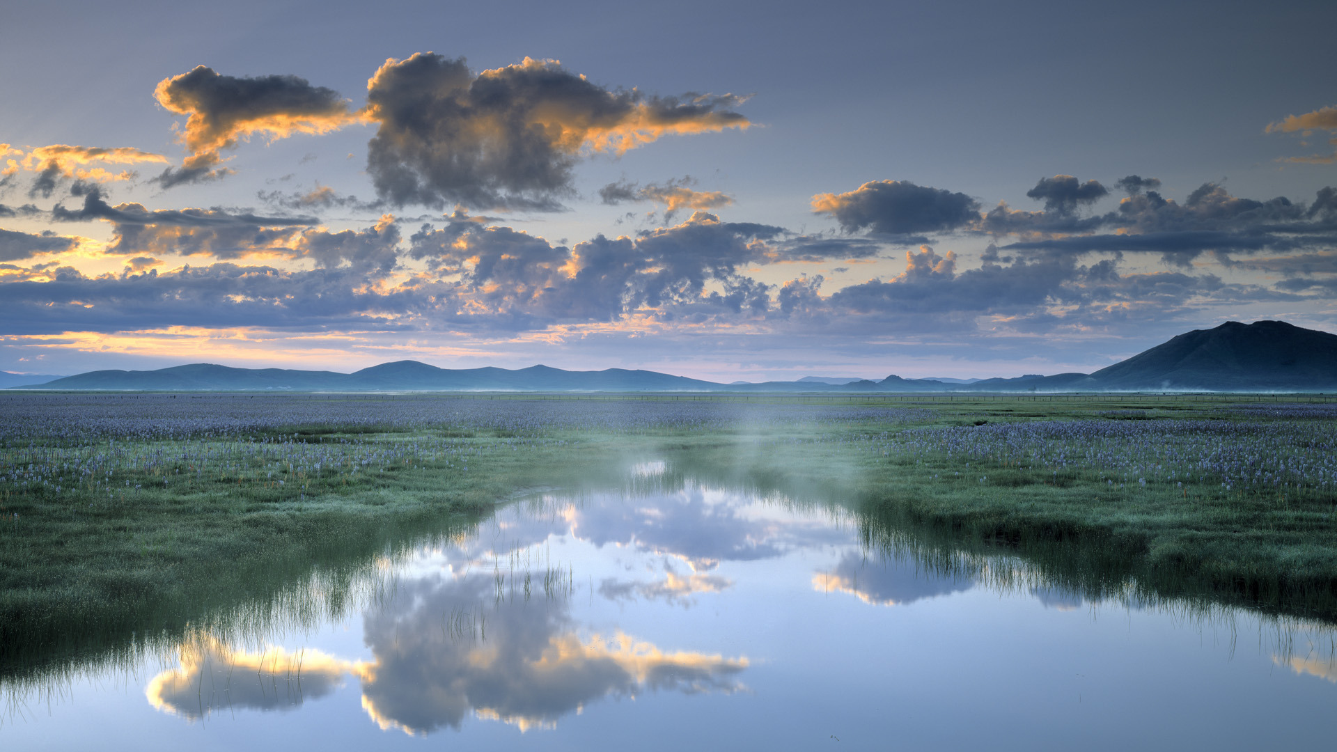 Download Nature Reflection HD Wallpaper