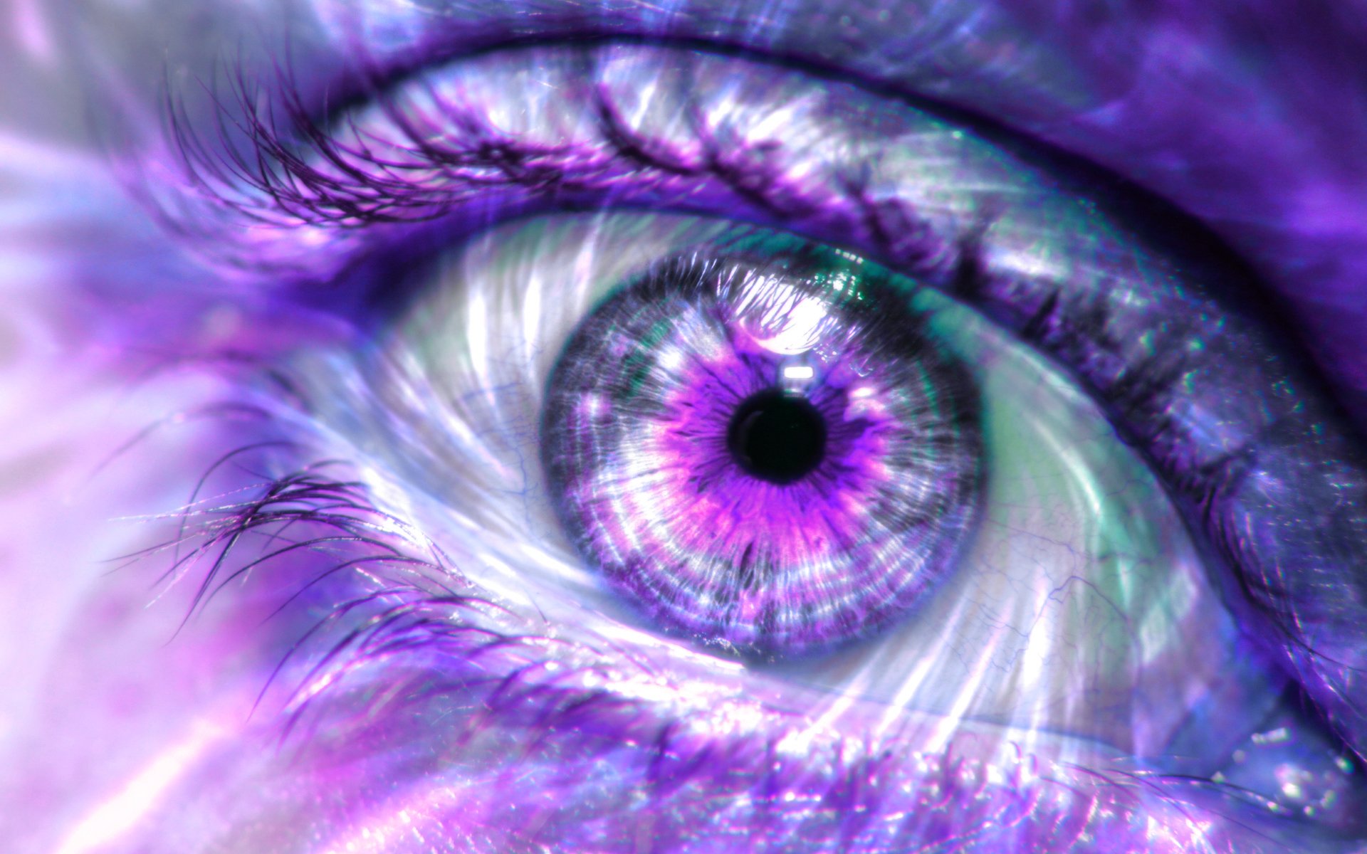 Vivid Gaze: HD Wallpaper of a Woman’s Enchanting Purple Eye