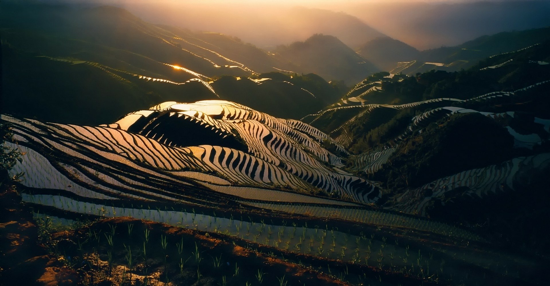 Sunrise Over Mountain Rice Terraces | Stunning HD Landscape Wallpaper