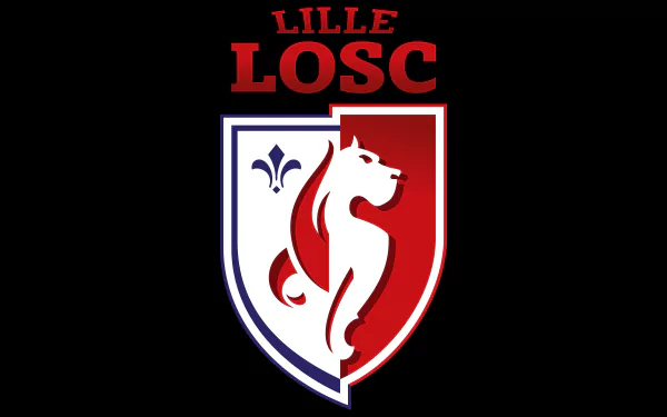 Lille OSC 4k Wallpapers