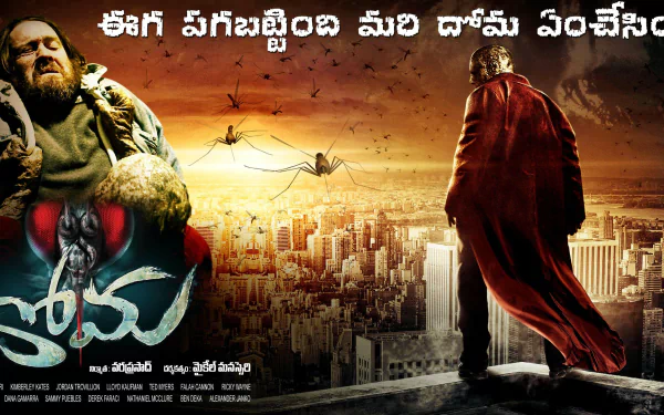 Dhoma Wallpapers