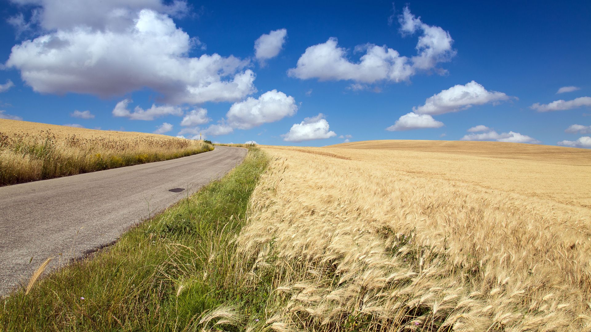 Download Nature Field HD Wallpaper