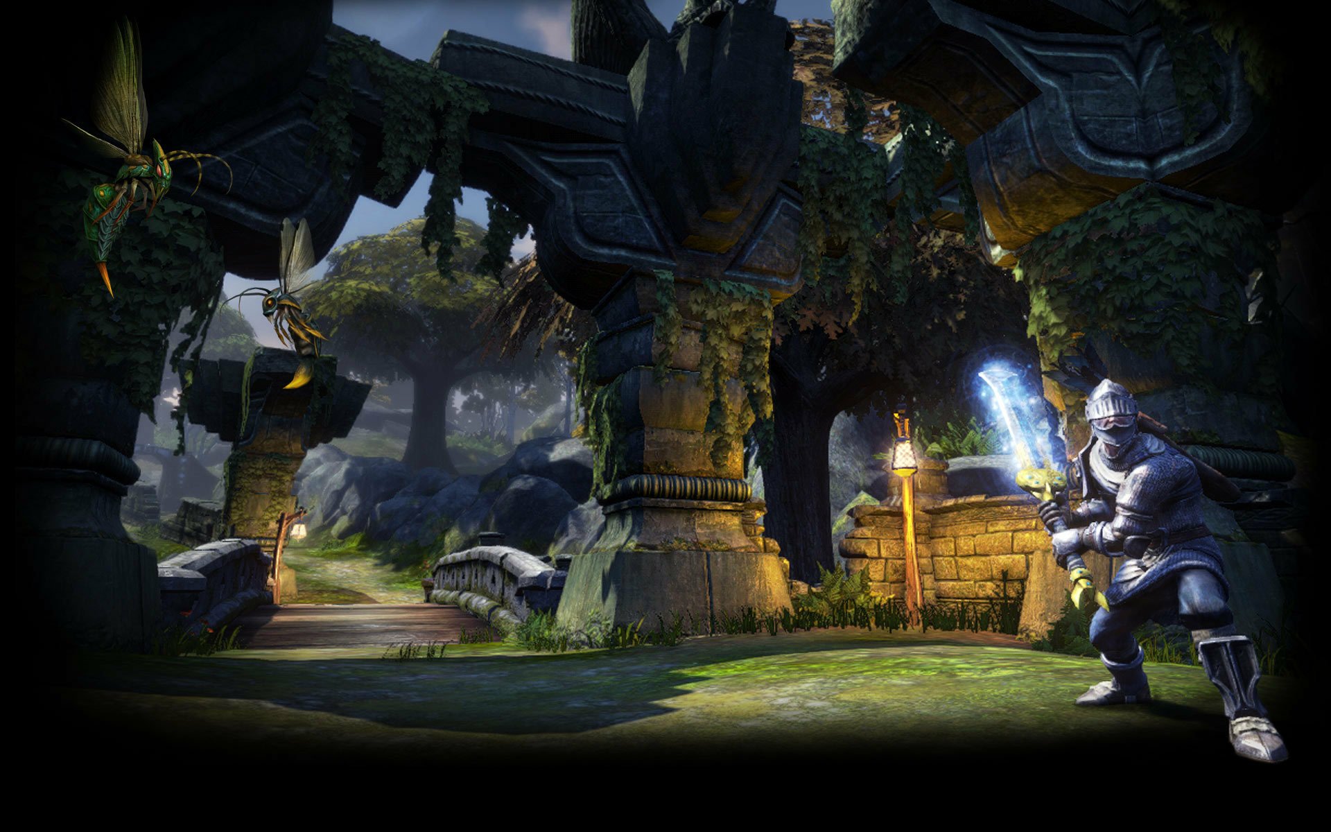 Download Video Game Fable Anniversary HD Wallpaper