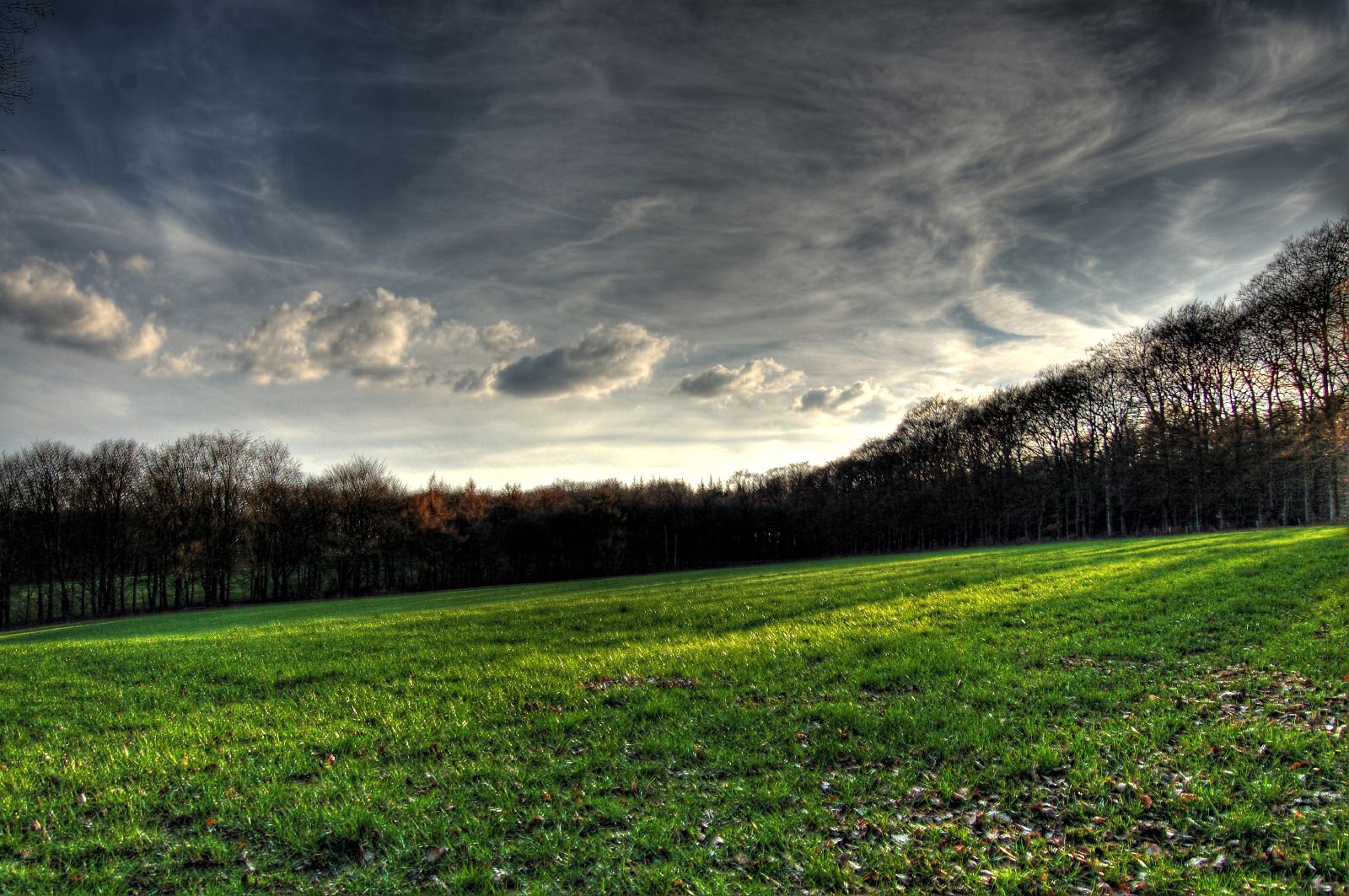 Download Nature Field Wallpaper