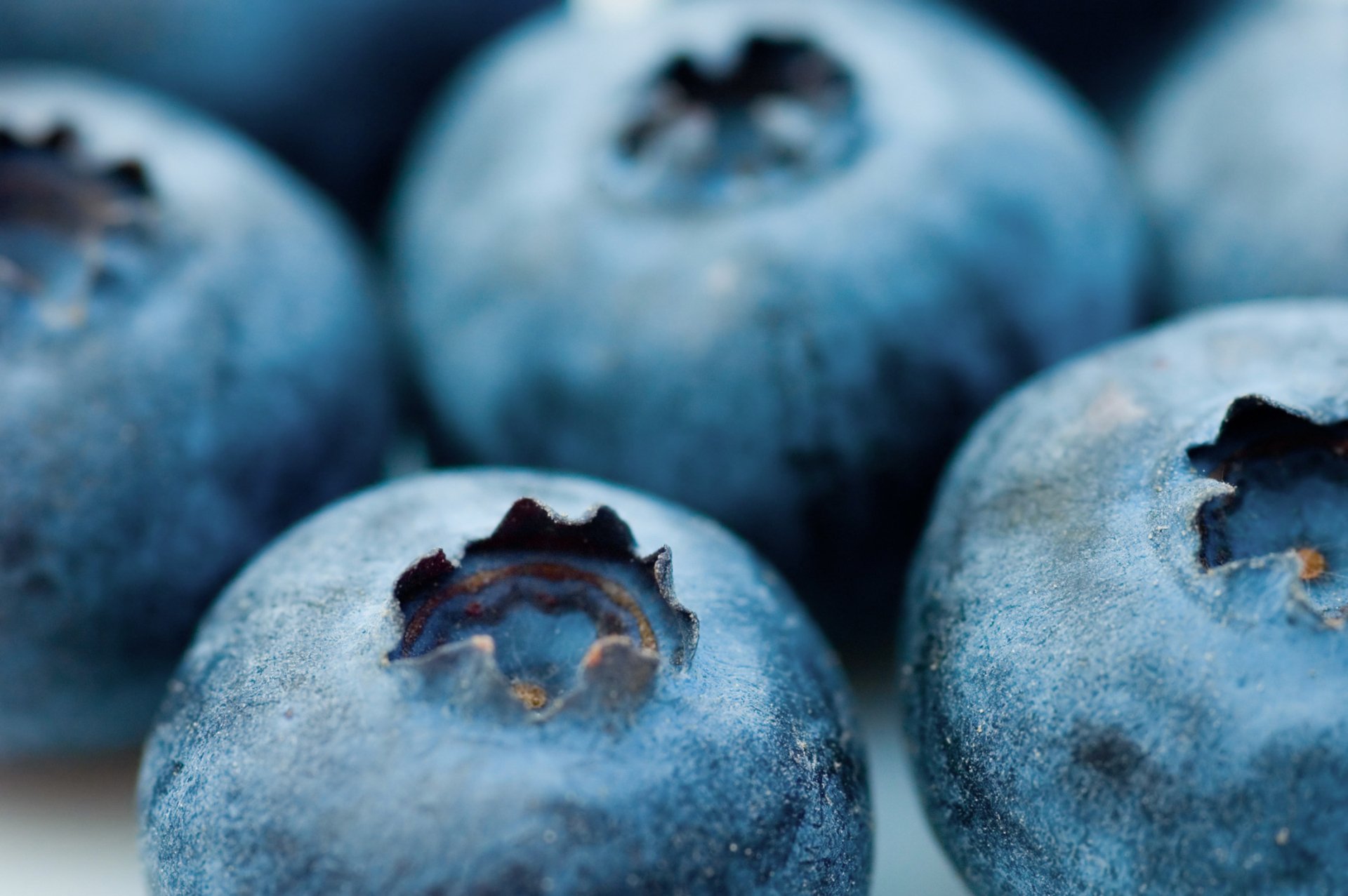 Download Food Blueberry HD Wallpaper | 2200x1463 | Wallpaper Abyss