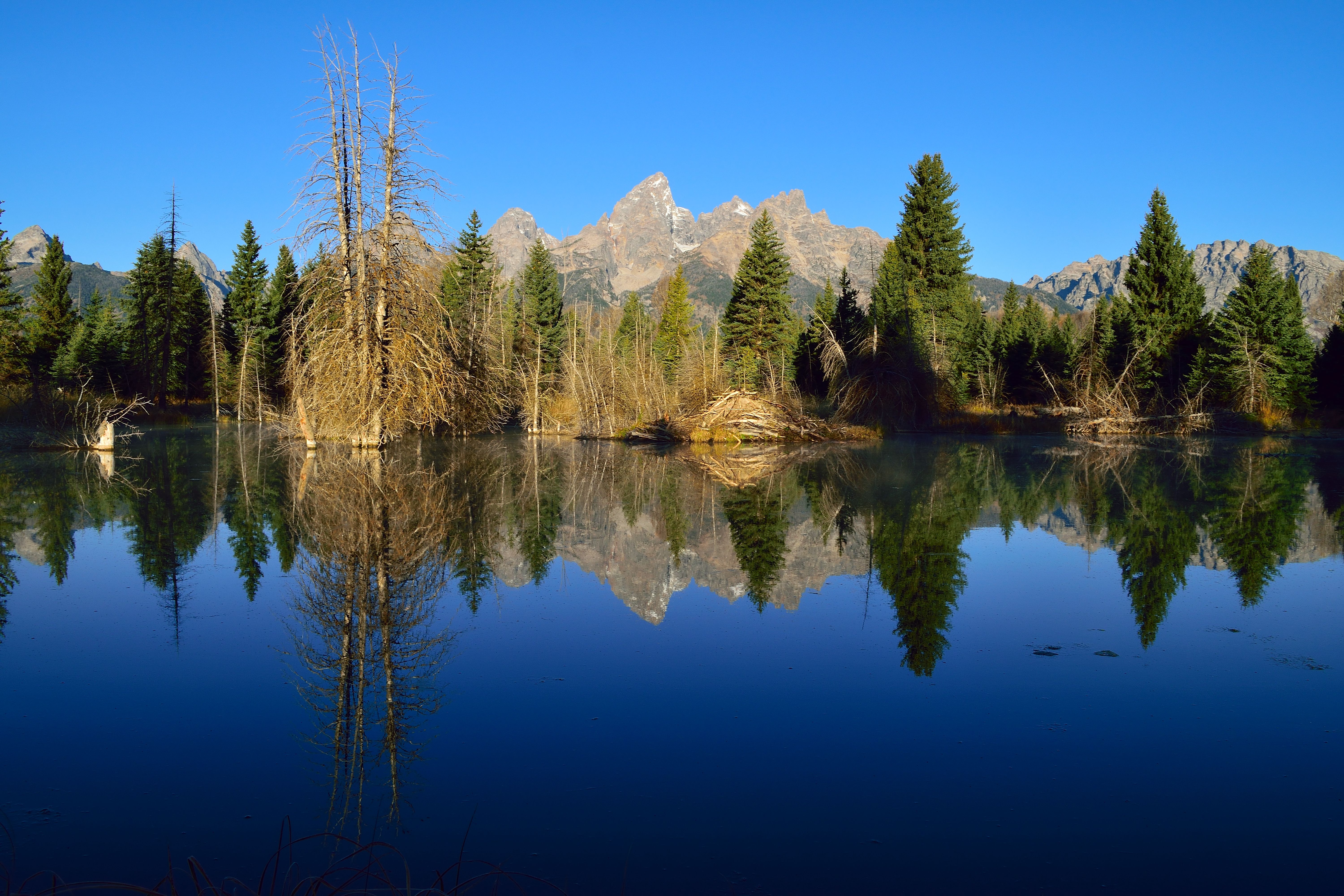Download Water Sky Tree Lake Mountain Nature Reflection 4k Ultra HD ...