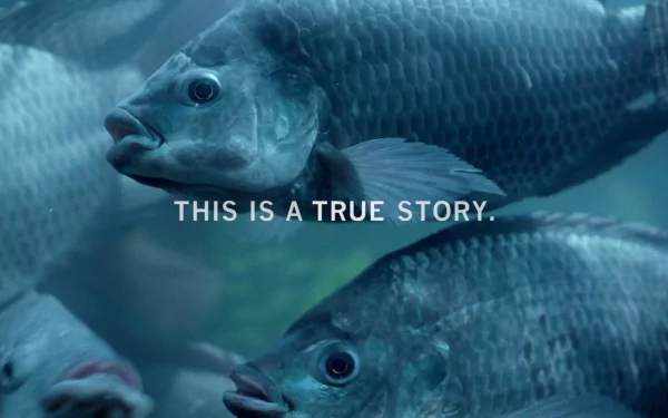 Download TV Show Fargo Wallpaper