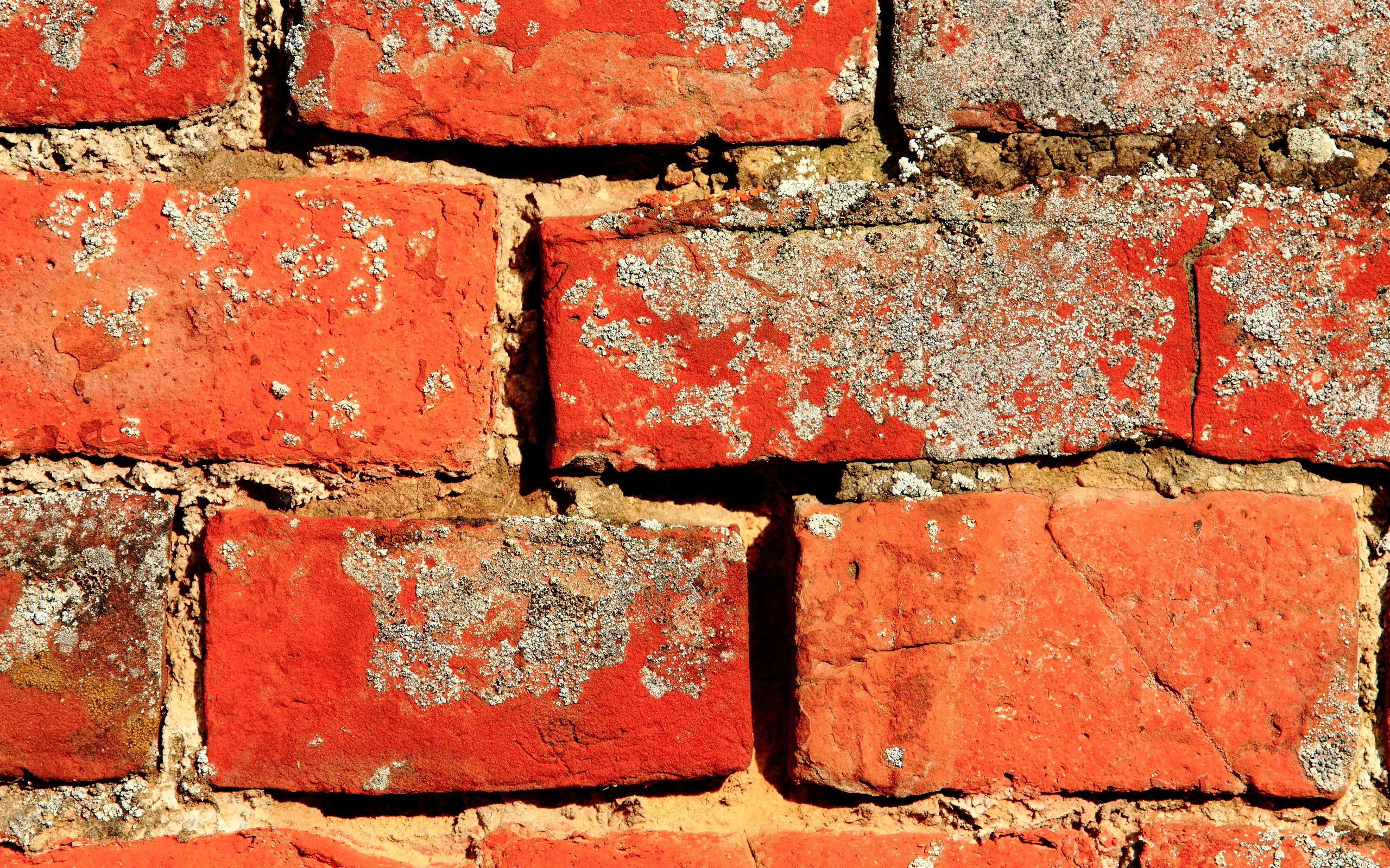 Download Man Made Brick HD Wallpaper