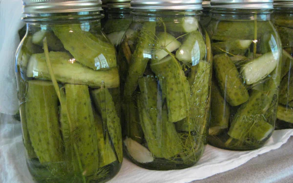 [20+] Pickle Wallpapers