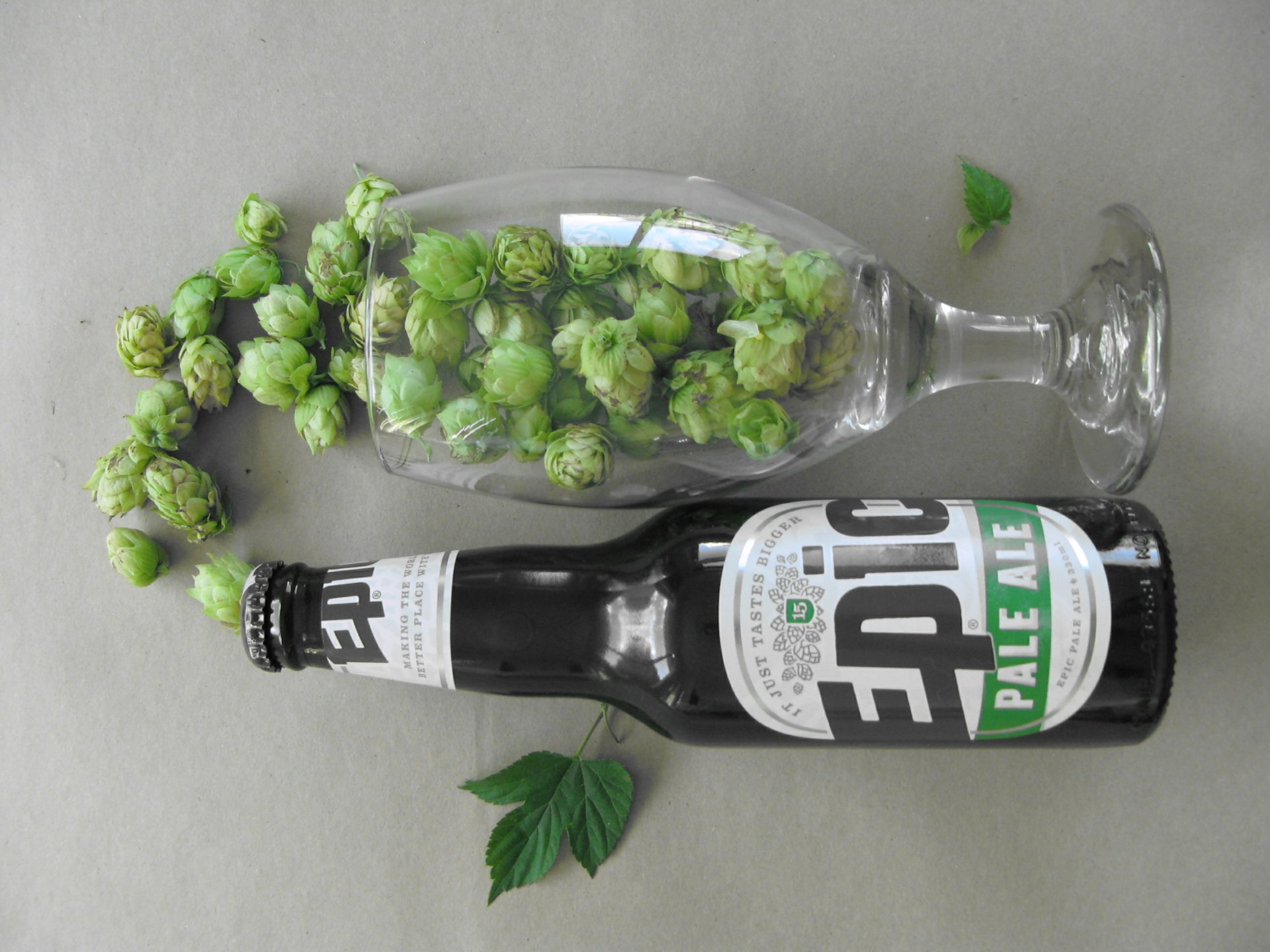 Pale Ale & Fresh Hops — 2K Quad HD Wallpaper