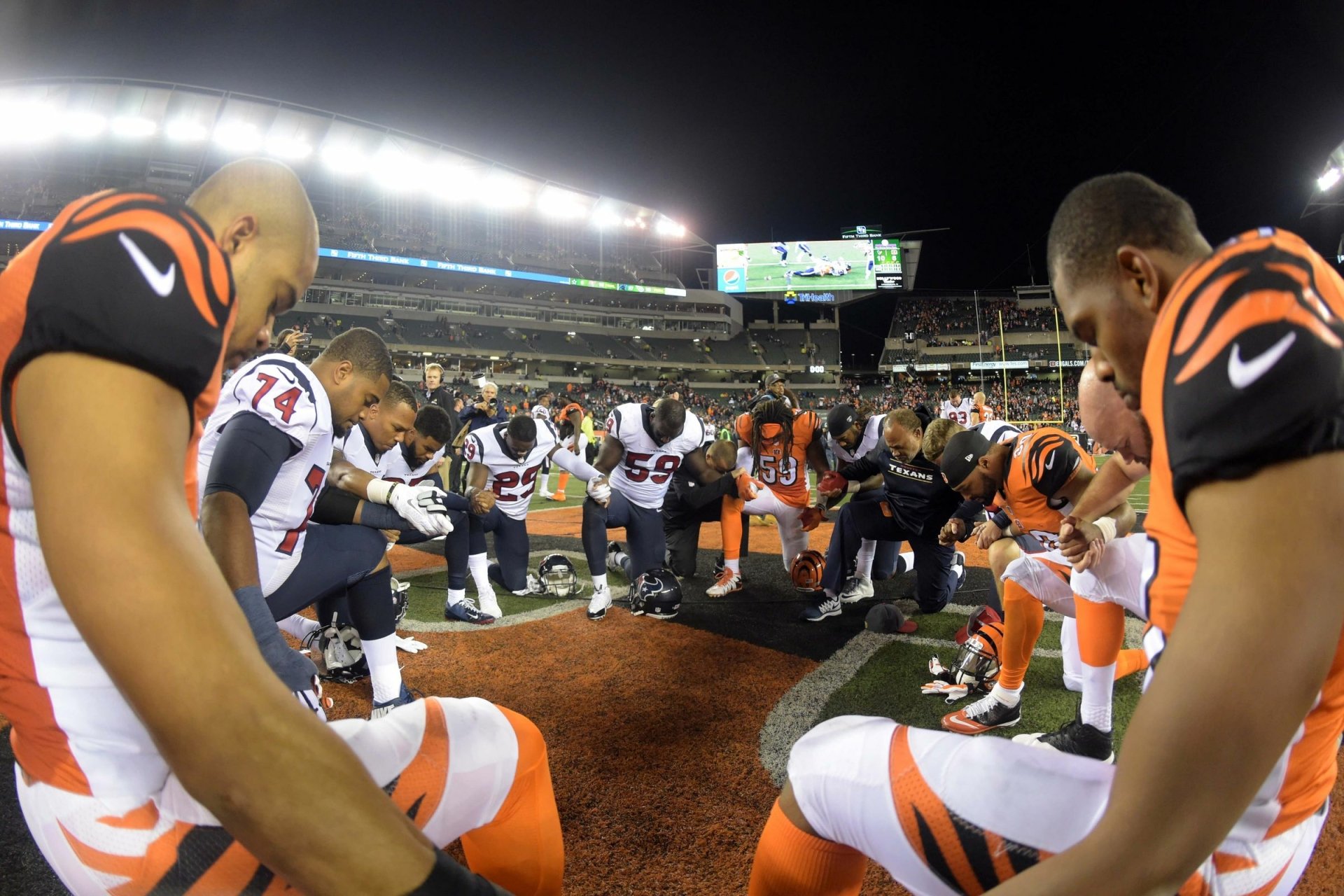 Download Cincinnati Bengals Sports HD Wallpaper