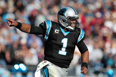 Carolina Panthers - Desktop Wallpapers, Phone Wallpaper, PFP, Gifs, and ...