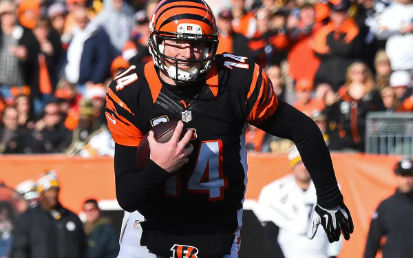 [70+] Cincinnati Bengals Wallpapers