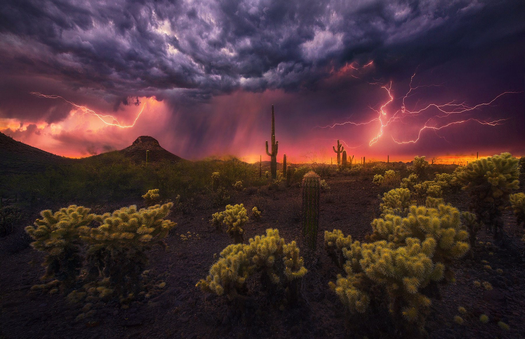 Desert Thunderstorm Wallpaper