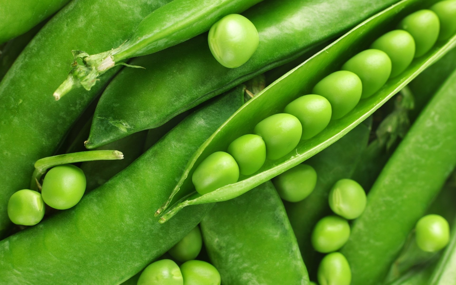 Download Food Pea HD Wallpaper