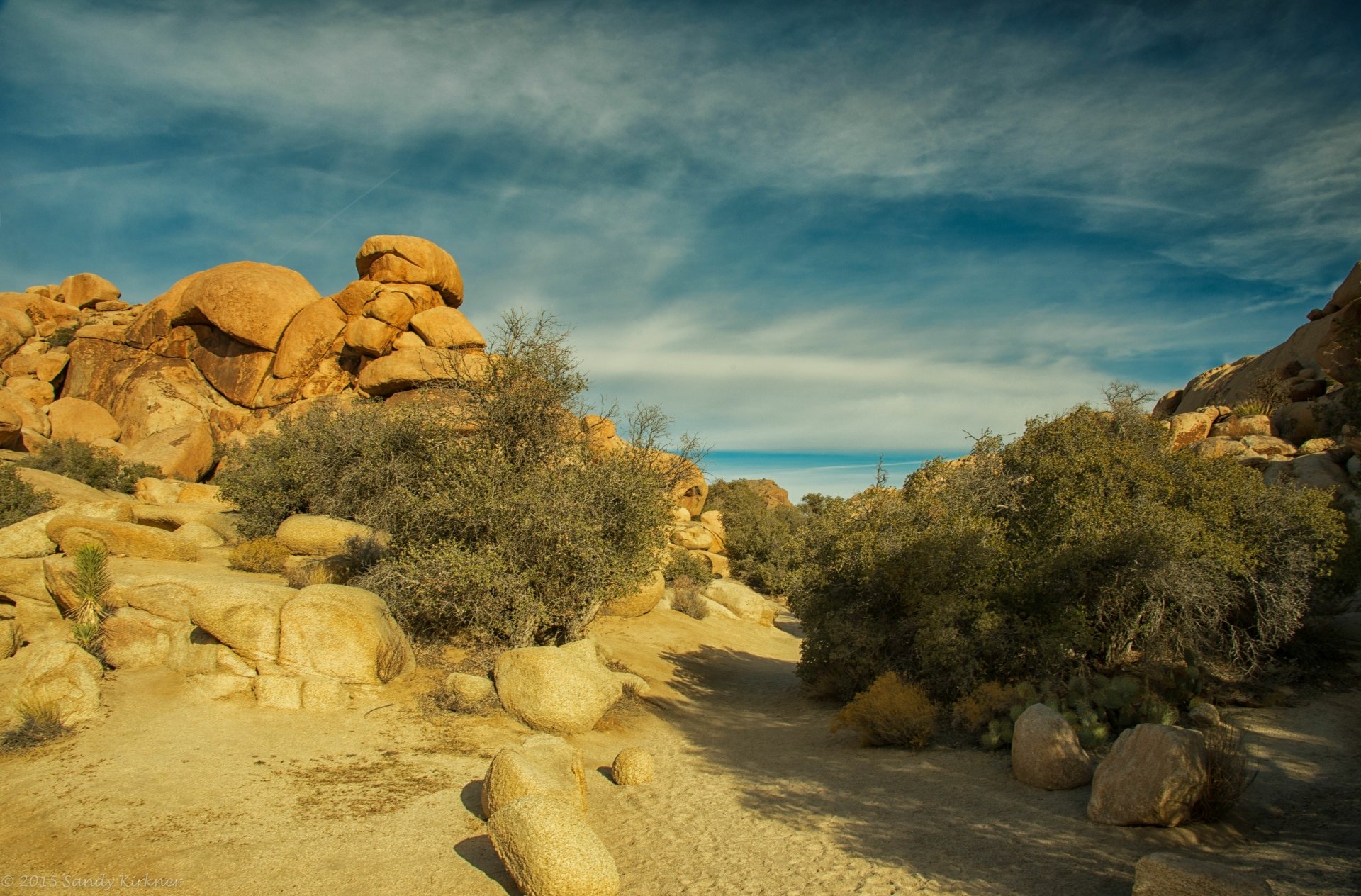 Download Cloud Sky Nature Joshua Tree National Park 4k Ultra HD Wallpaper