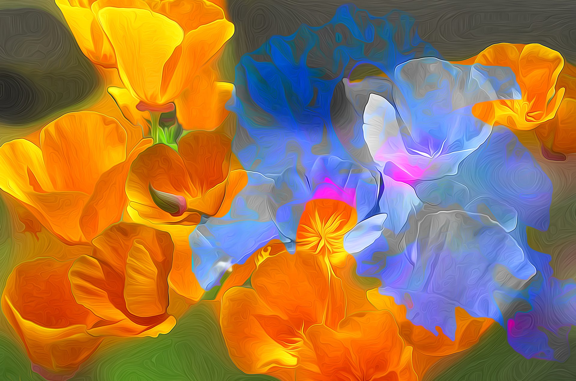 Artistic HD Wallpaper of Orange and Blue Flowers