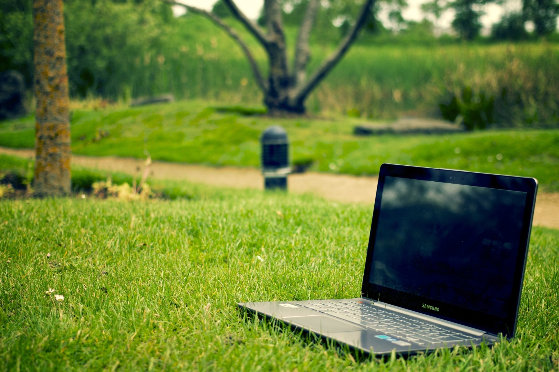 Samsung Laptop in a Lush Park: Technology Meets Nature HD Wallpaper