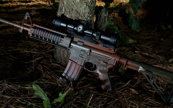 Rifle 4k Ultra HD Wallpaper | Background Image | 4608x3456 | ID:499970 ...