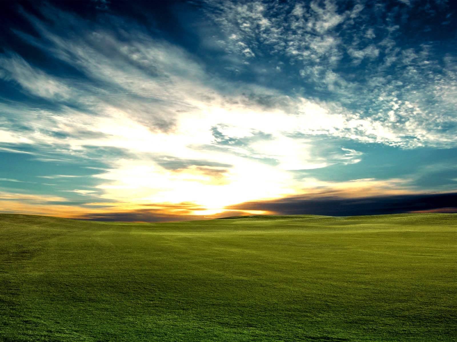 Download Nature Field Wallpaper