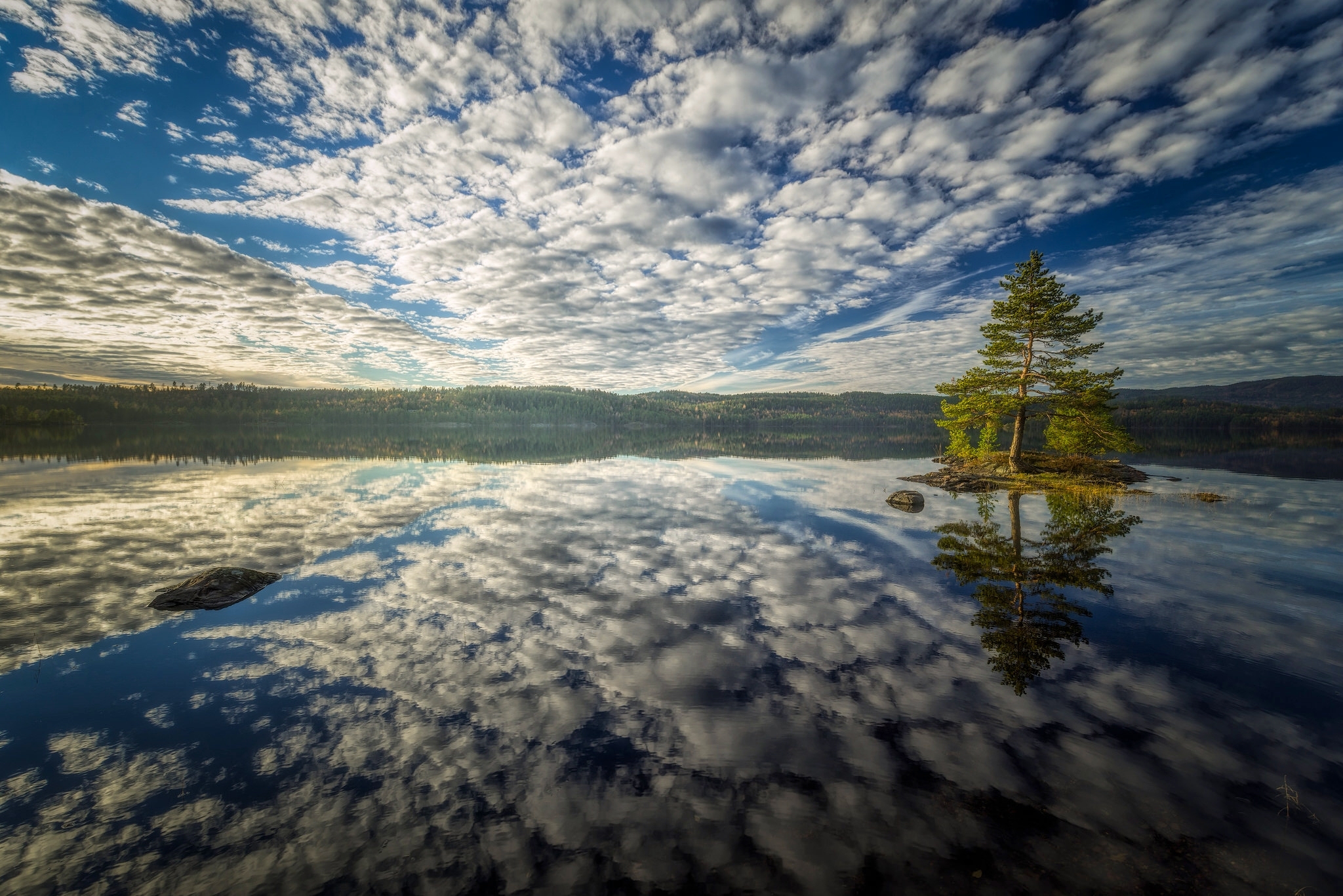 Serene Island Reflection: Lonely Tree Under a Vast Cloudy Sky | HD ...