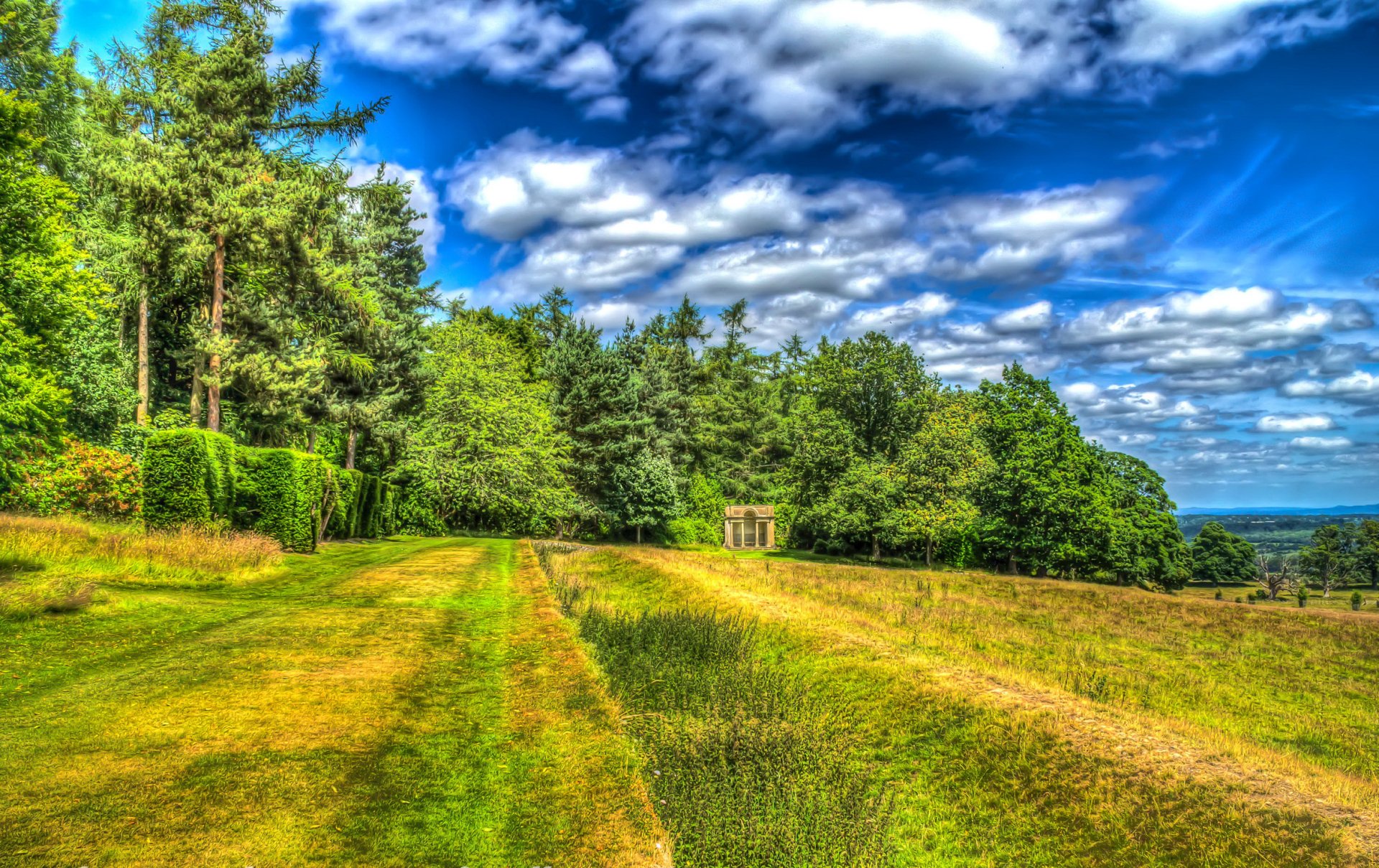 Lush Welsh Forest and Fields Beneath a Vibrant Sky - HD Nature ...