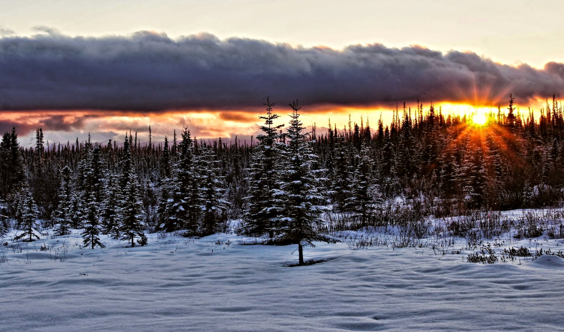 Alaskan Winter Sunset: Snowy Forest Sunbeams Through Clouds – HD Nature ...