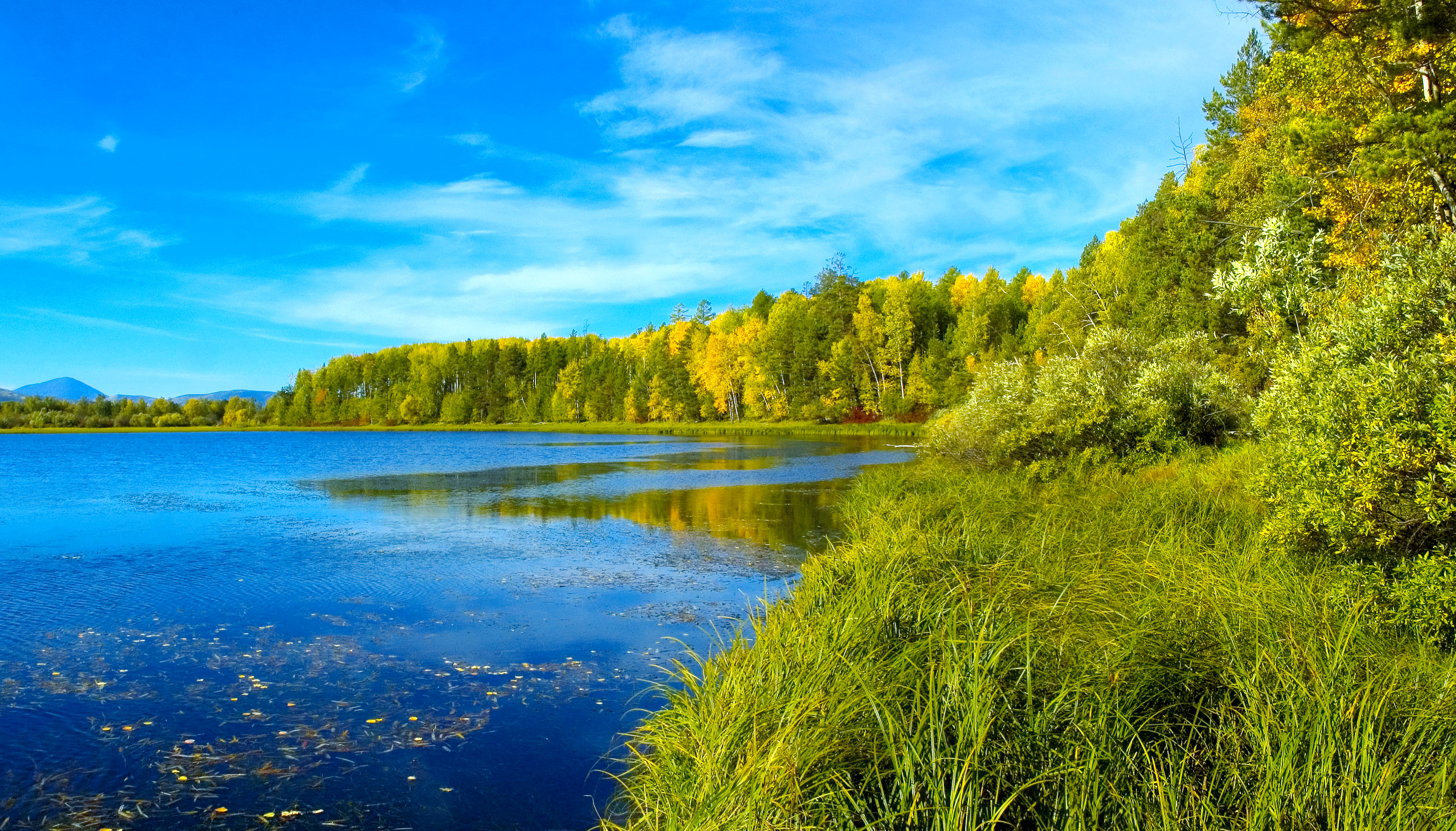 Download Nature Sky Grass Forest Lake HD Wallpaper