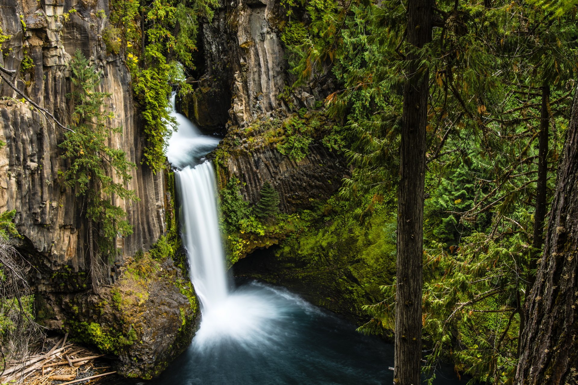 Toketee Falls Oasis: Lush Oregon Forest in 4K Ultra HD Nature Wallpaper
