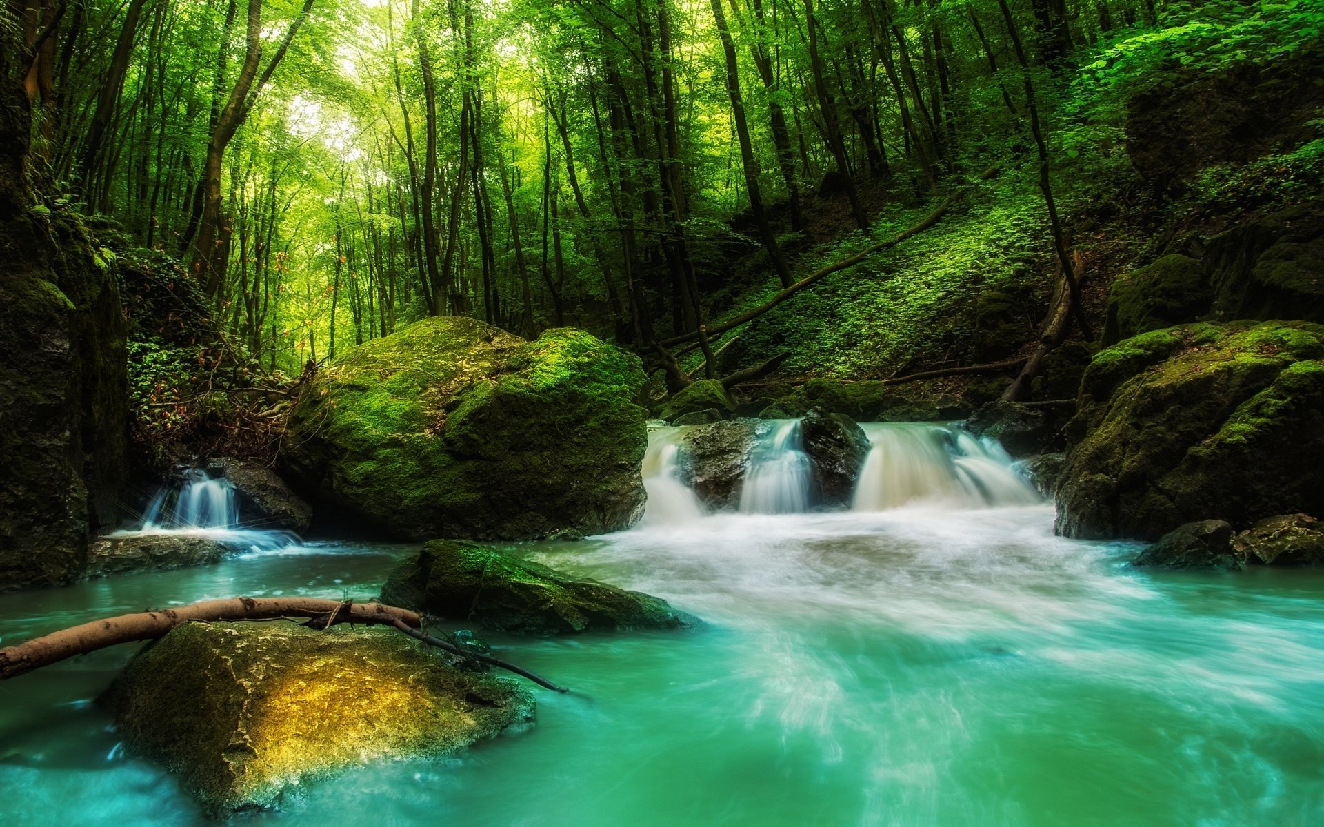 Download Nature Water Turquoise Tree Green Forest Waterfall HD Wallpaper