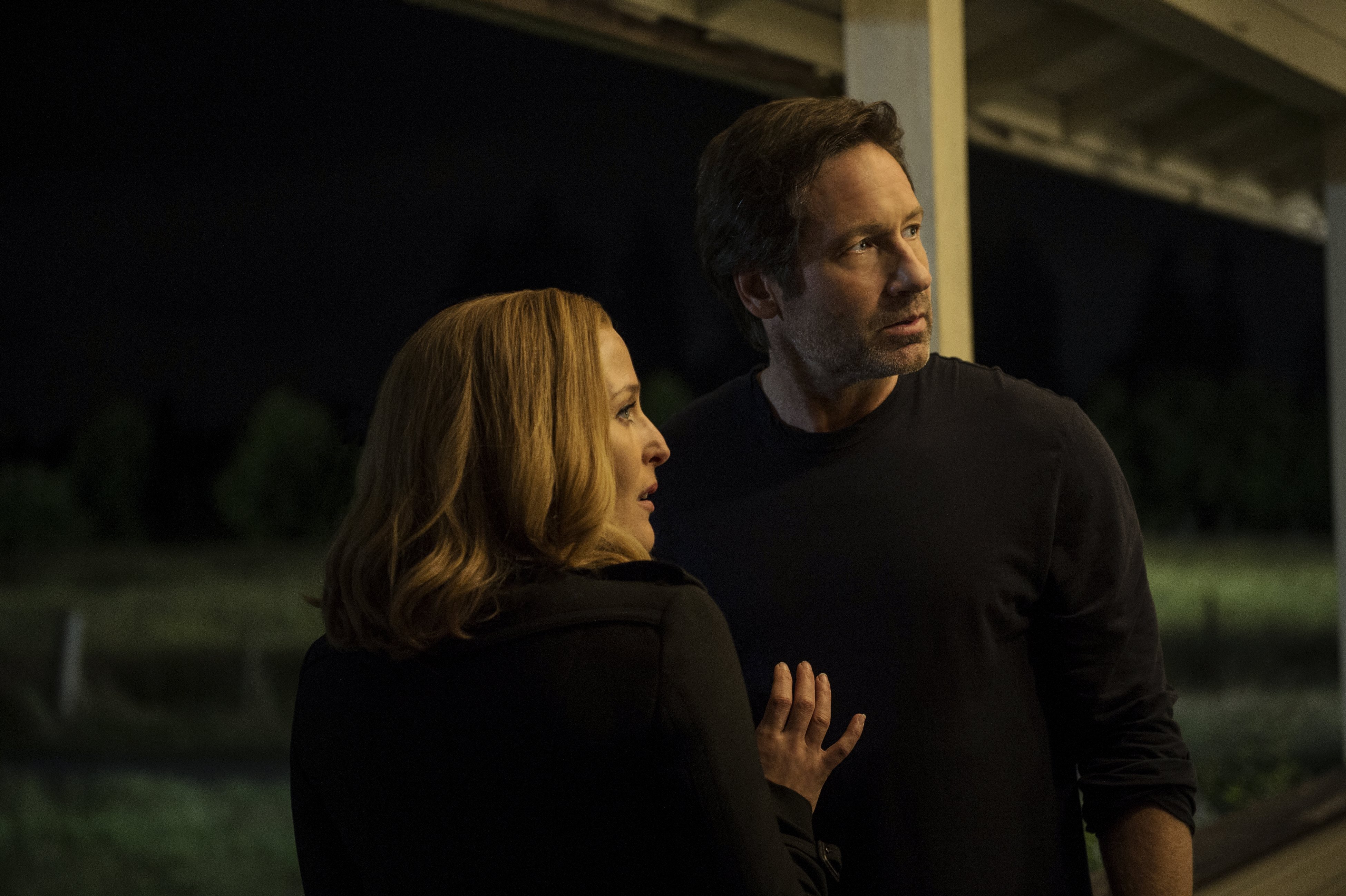 Download Gillian Anderson Dana Scully David Duchovny Fox Mulder TV Show ...