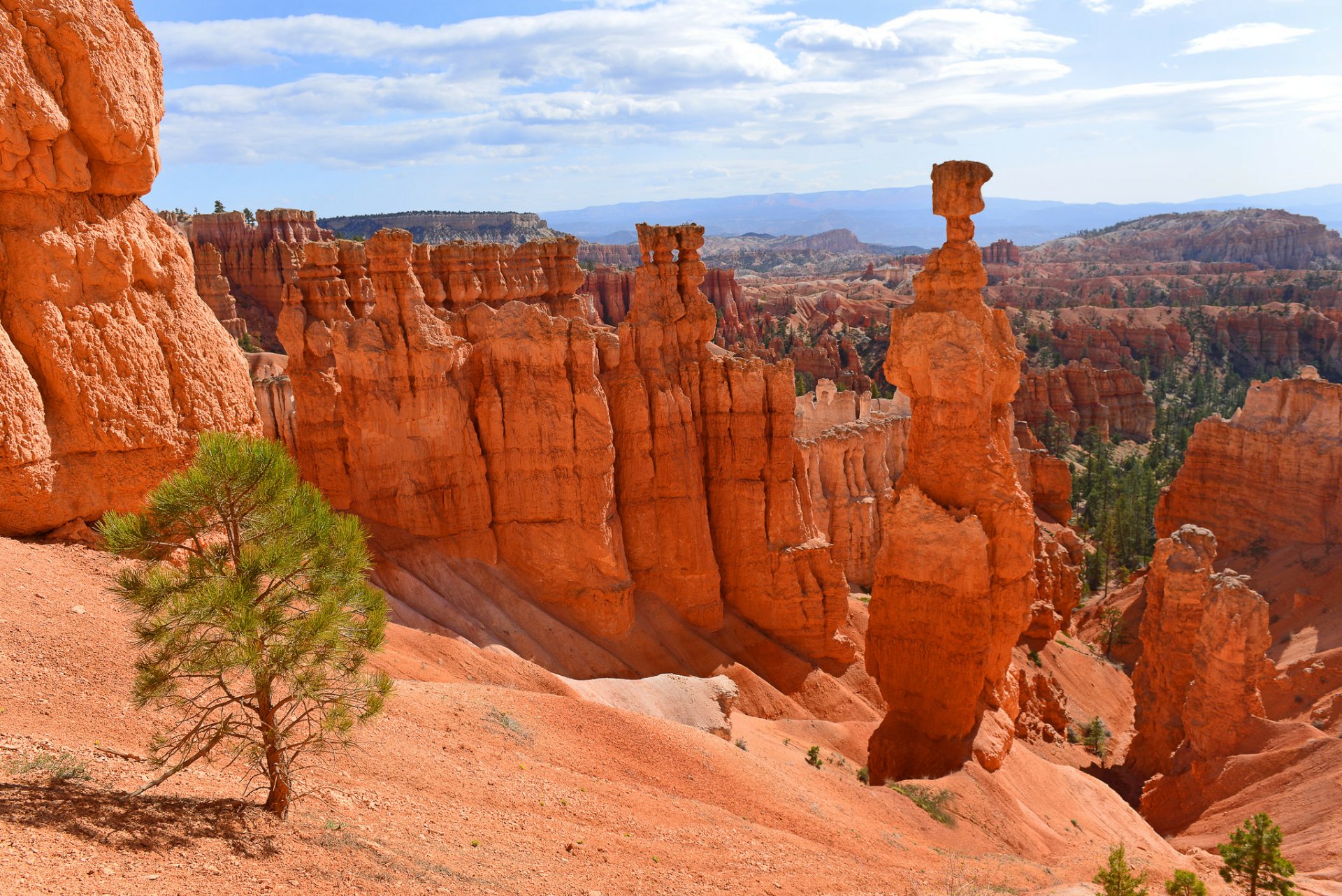 **Bryce Canyon National Park: Majestic Cliffs in HD Wallpaper**