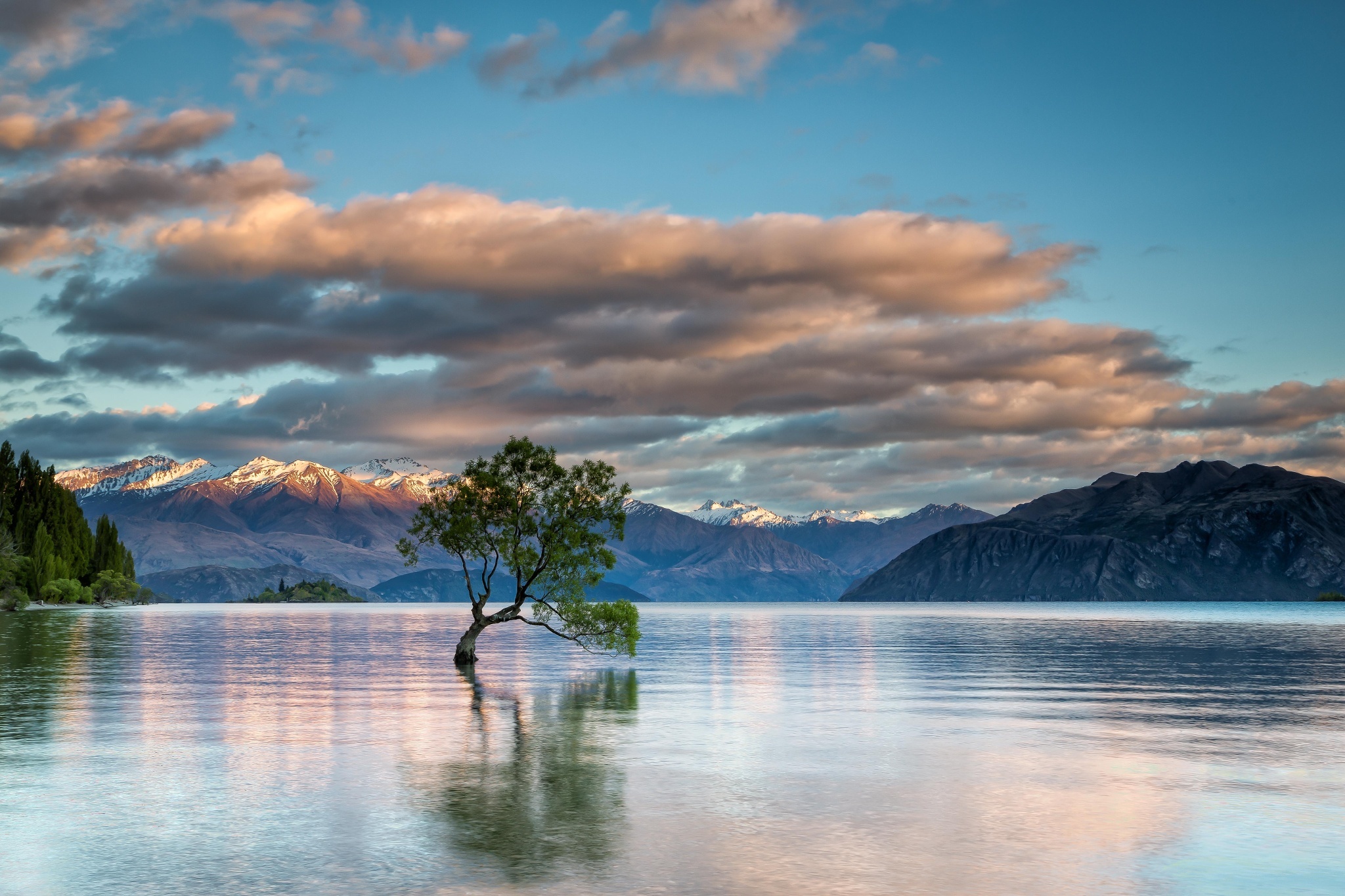 Serene Mountain Lake with Lonely Tree and Cloud Reflection – HD Nature ...