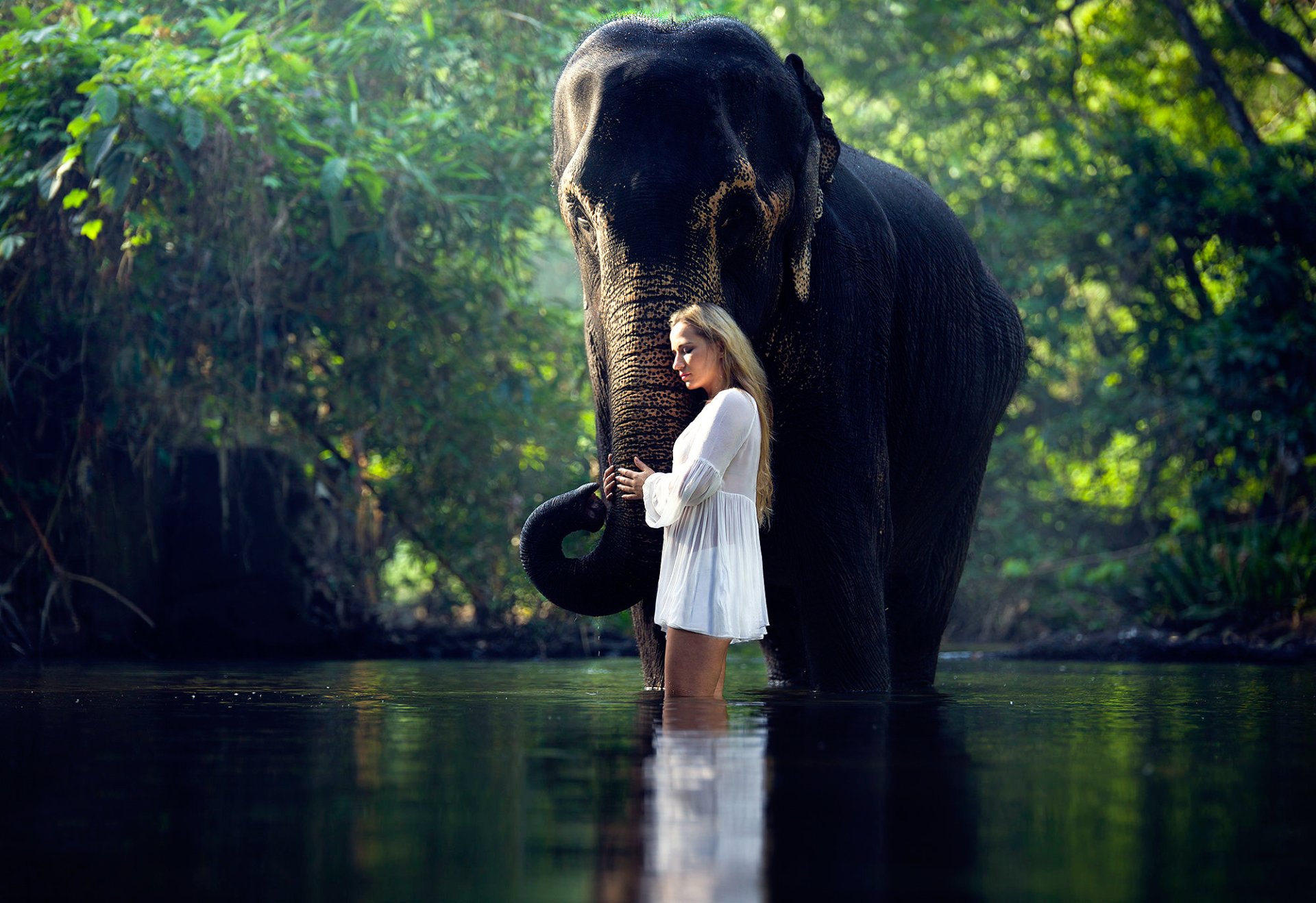 Serene Reflection: Blonde Woman and Elephant in Tranquil Harmony - HD ...