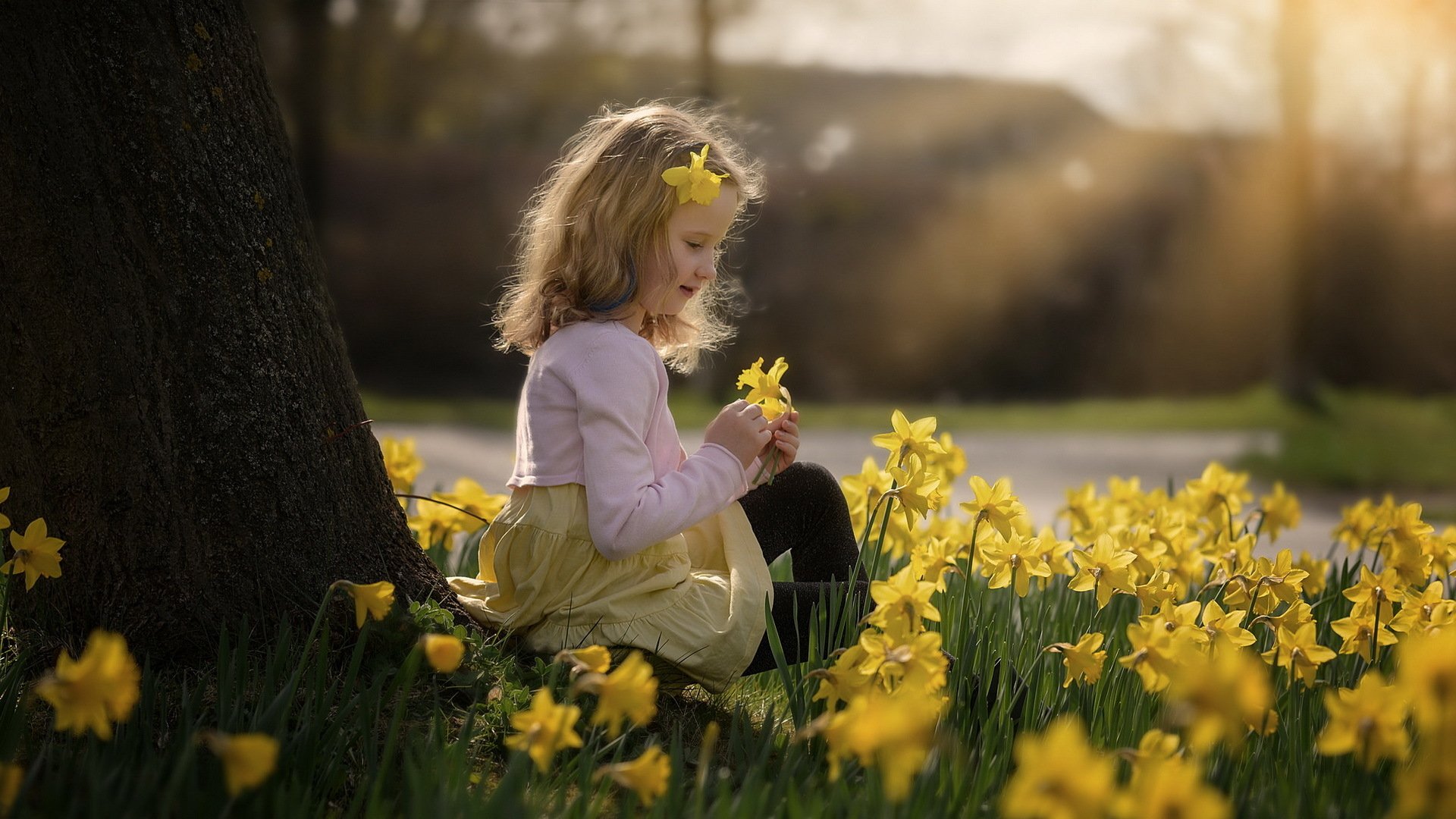 Sunlit Spring: Little Girl Among Daffodils HD Wallpaper