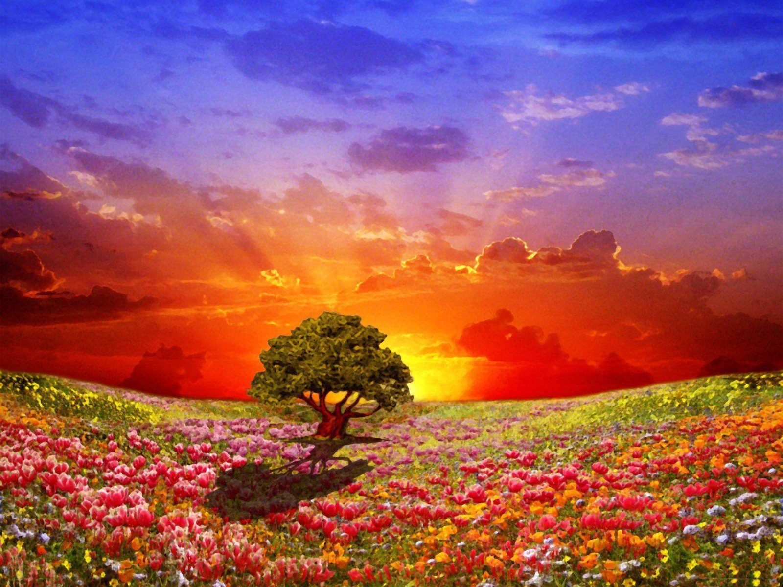 Vibrant Sunset Over Tulip Fields: A Fantasy Landscape in Full Bloom