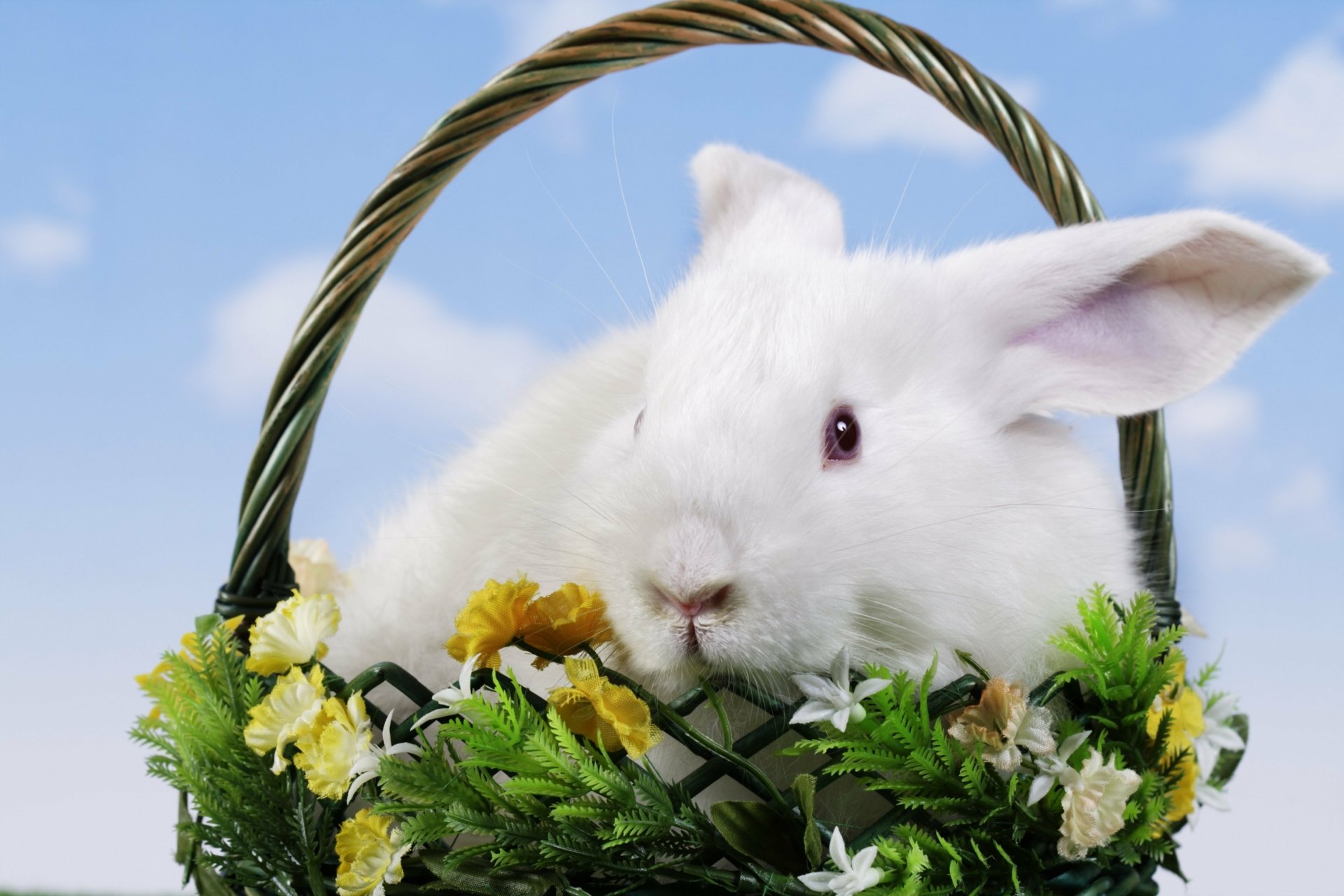 Easter Bunny Bliss: 4K Ultra HD Rabbit in Springtime Basket Celebration