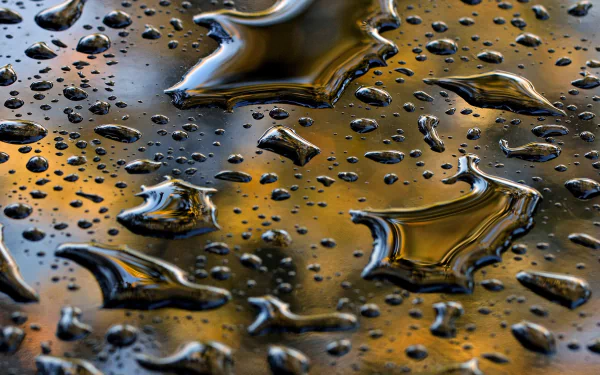 Raindrop Veil HD Wallpaper