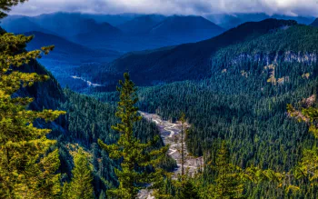 Washington State Desktop Wallpaper Nature