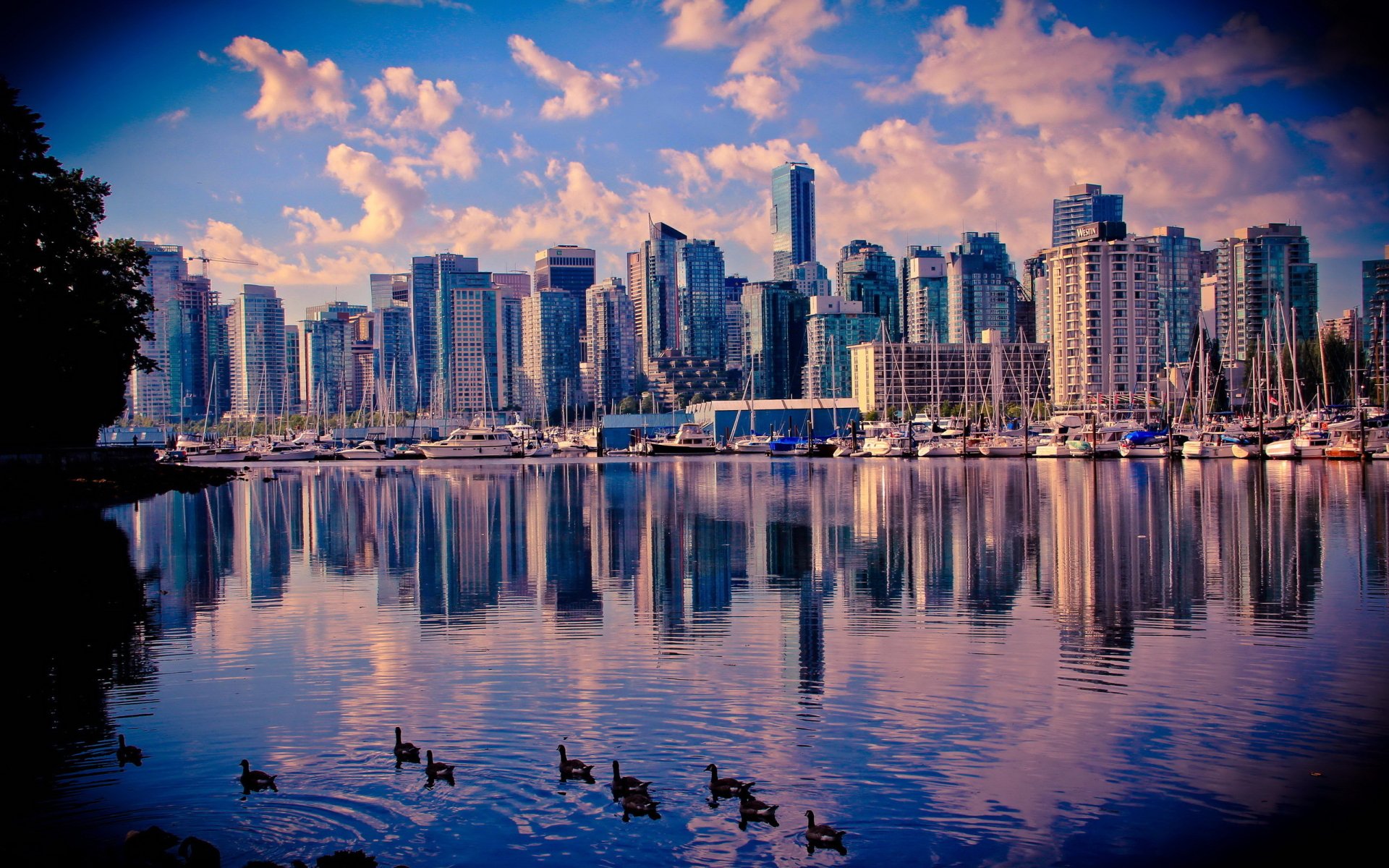 Vibrant Vancouver Skyline: A Stunning Canadian Cityscape HD Wallpaper