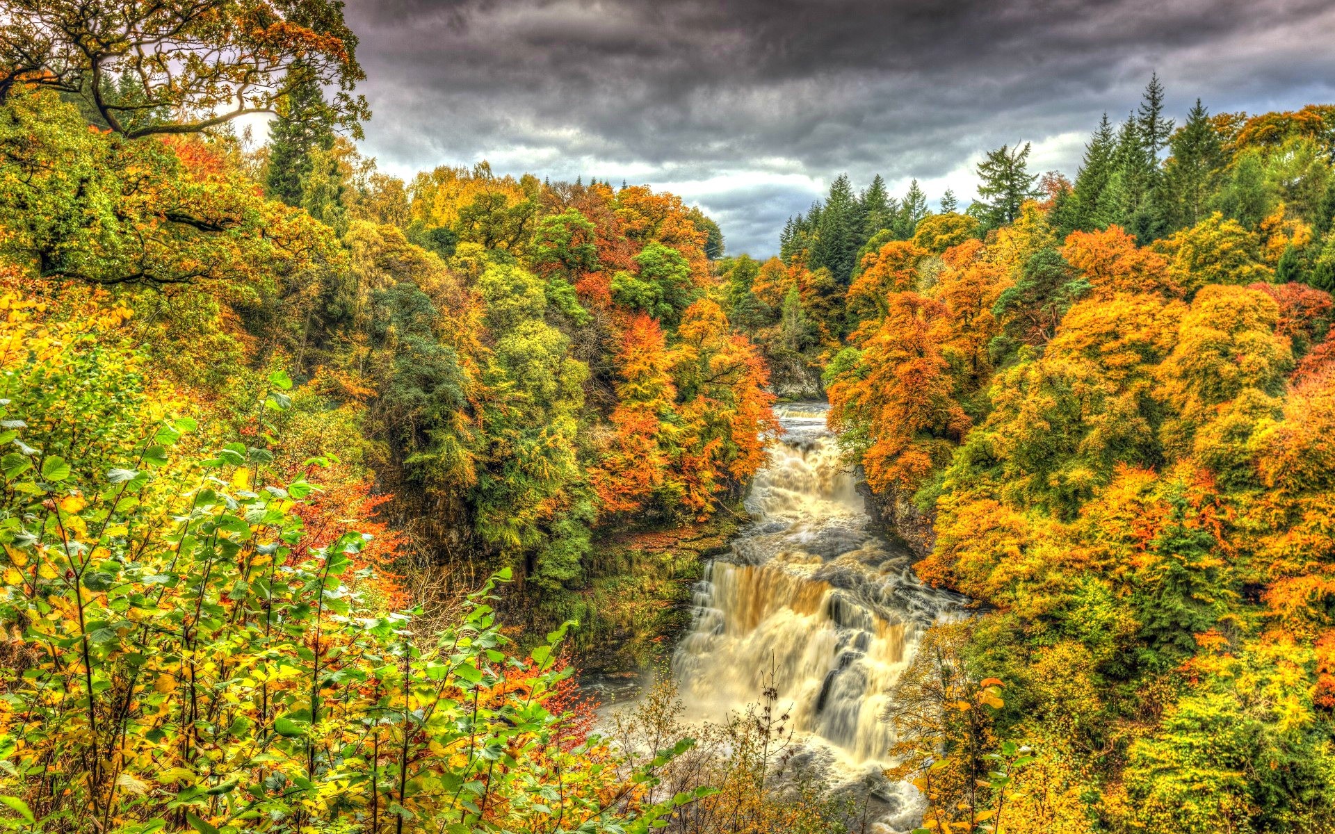Waterfall in Autumn Forest