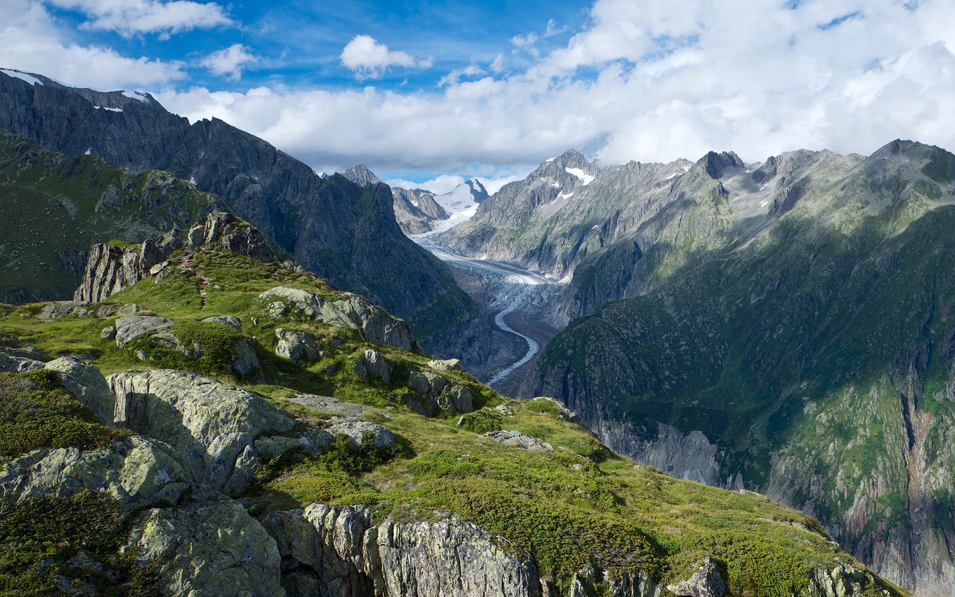 Download Tree Mountain Nature Landscape HD Wallpaper