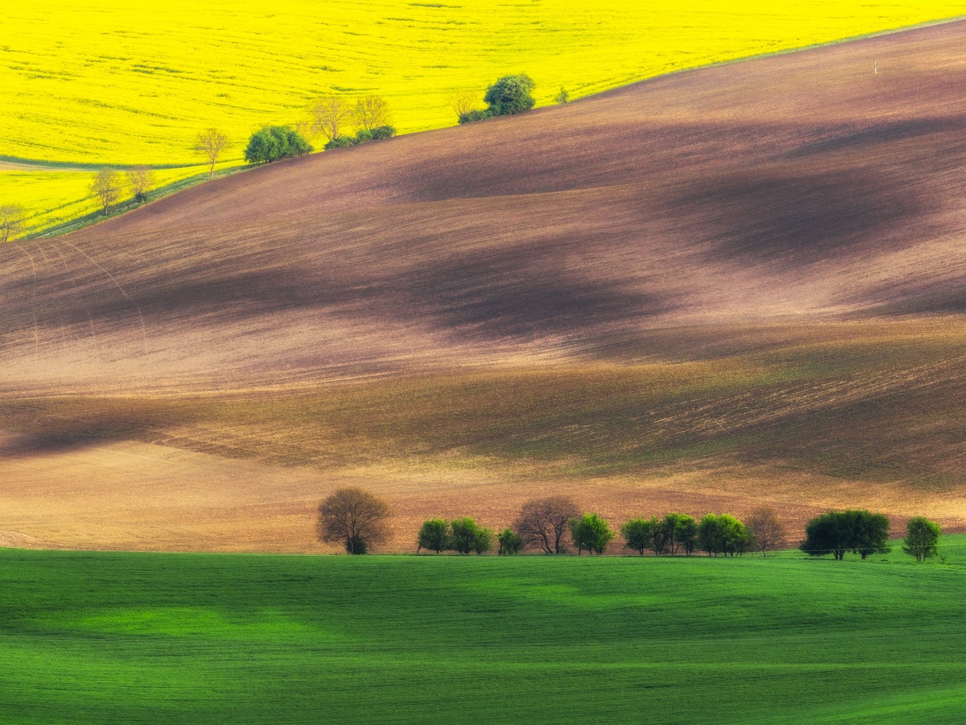 Download Nature Field HD Wallpaper | 2048x1536 | Wallpaper Abyss
