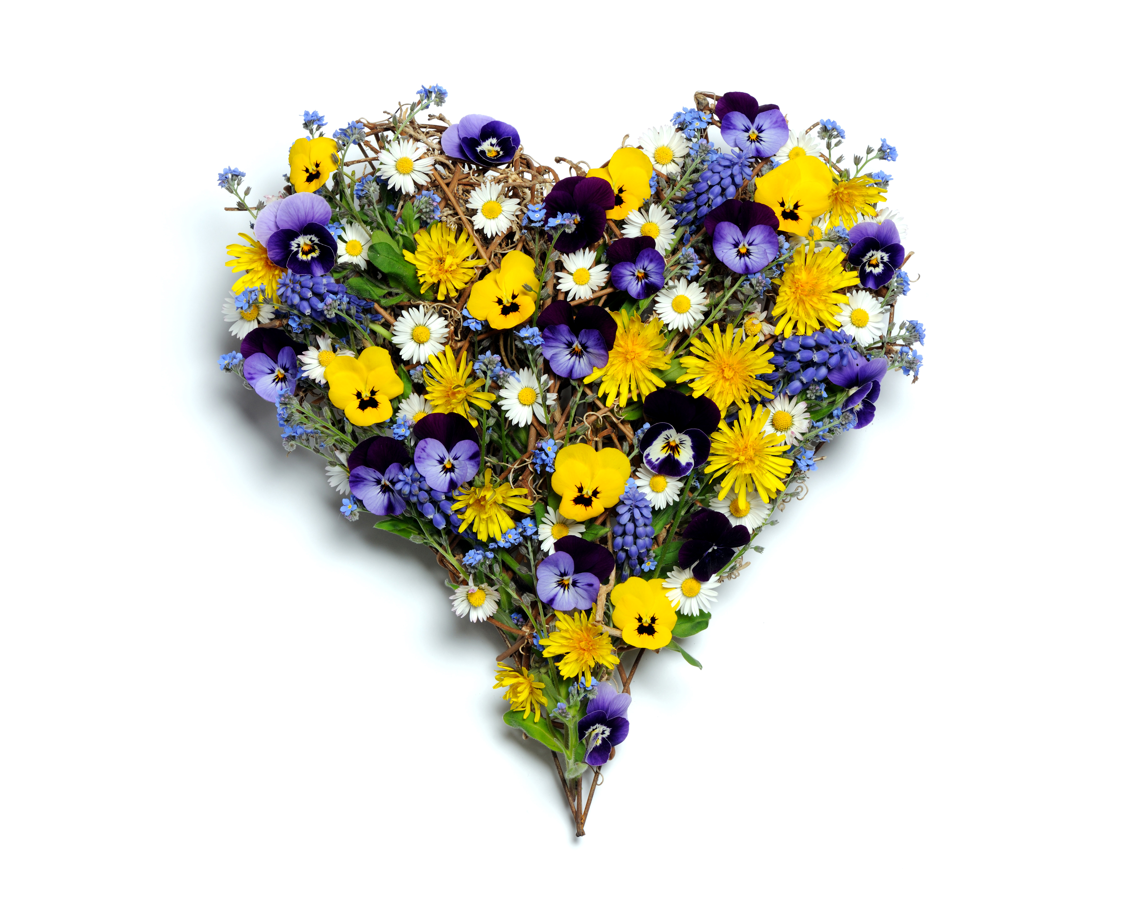 Flower Heart
